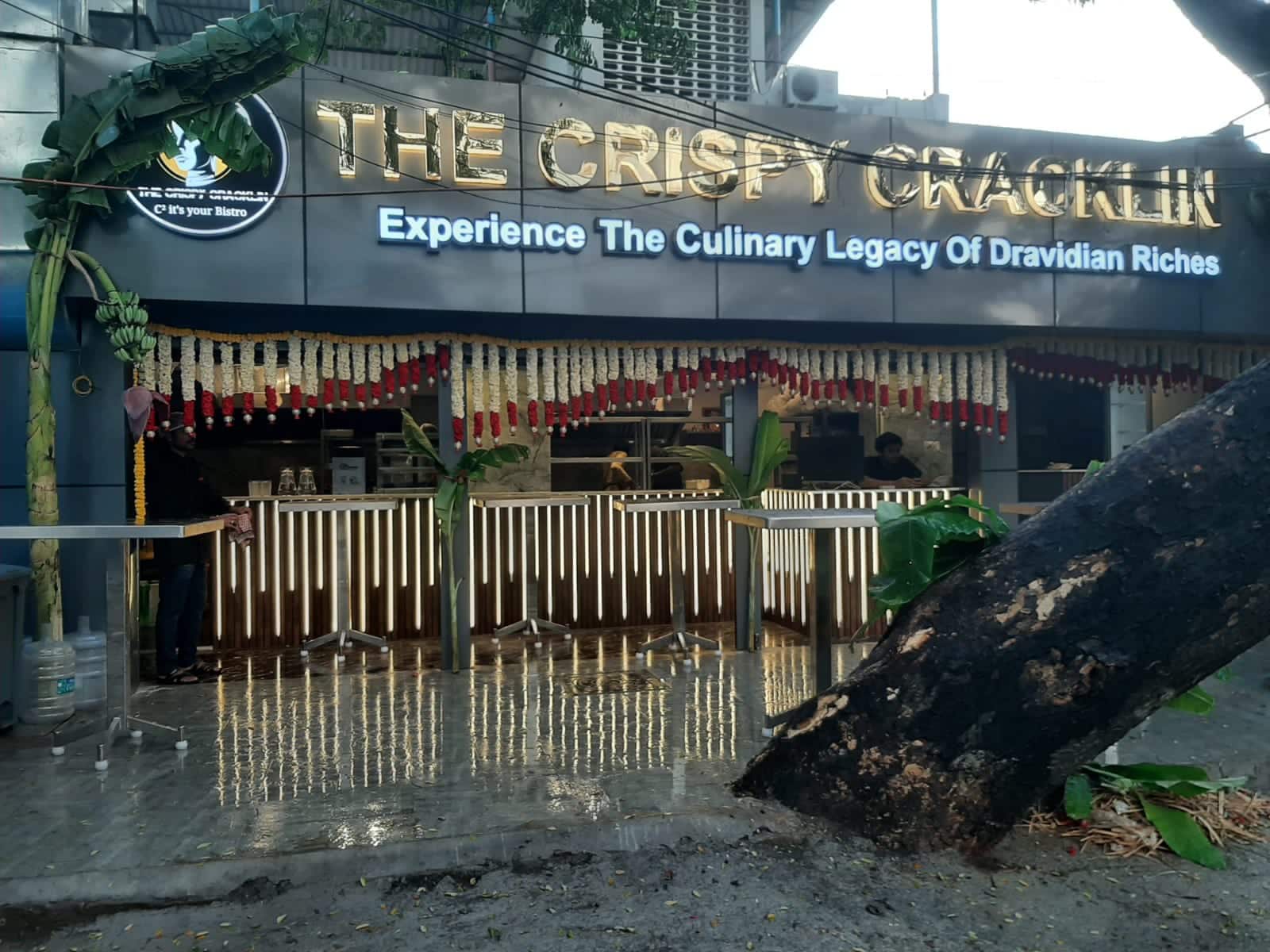 Menu of The Crispy Cracklin, Anna Nagar West, Chennai