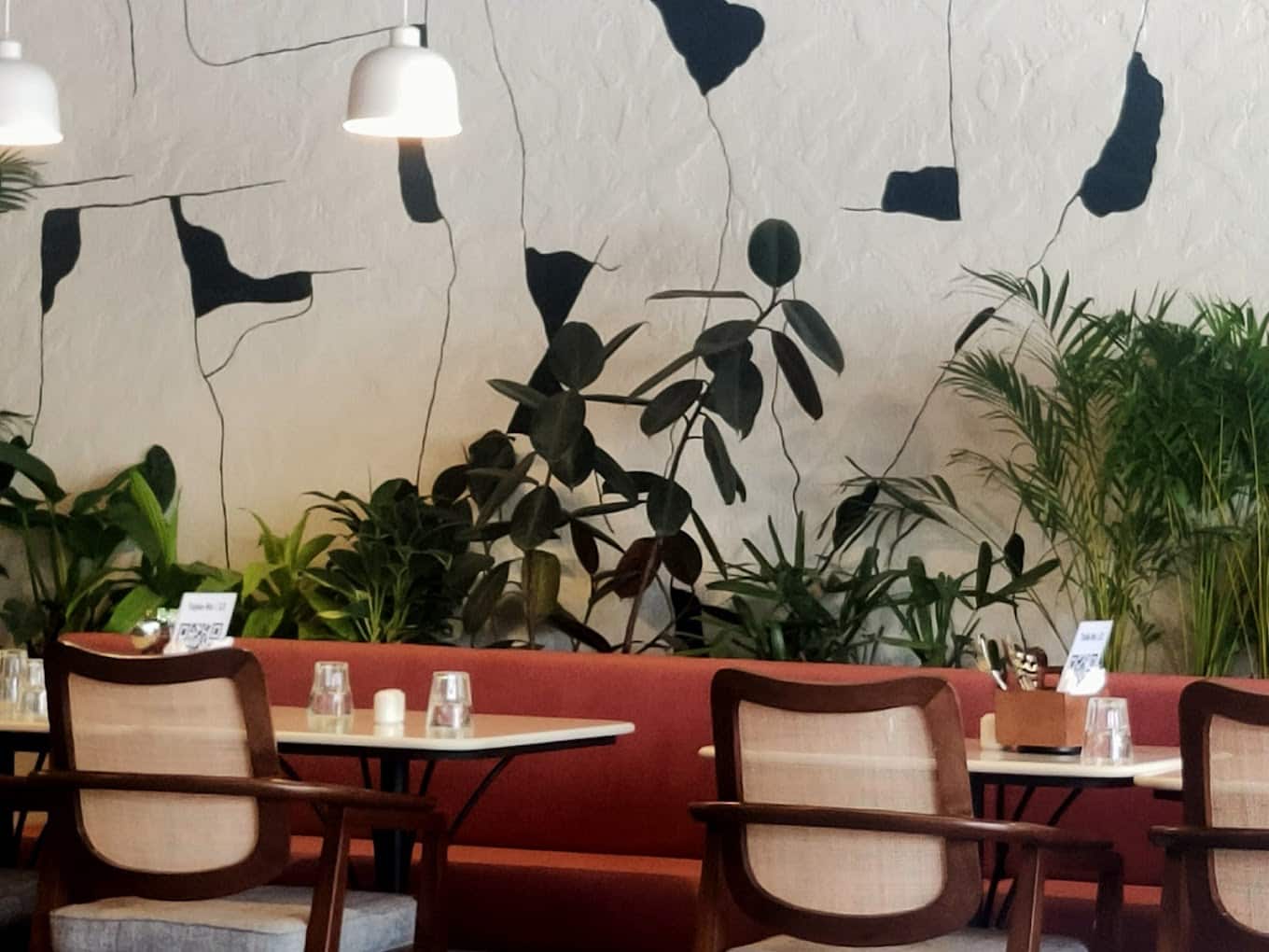 Delissio, Piplod, Surat | Zomato