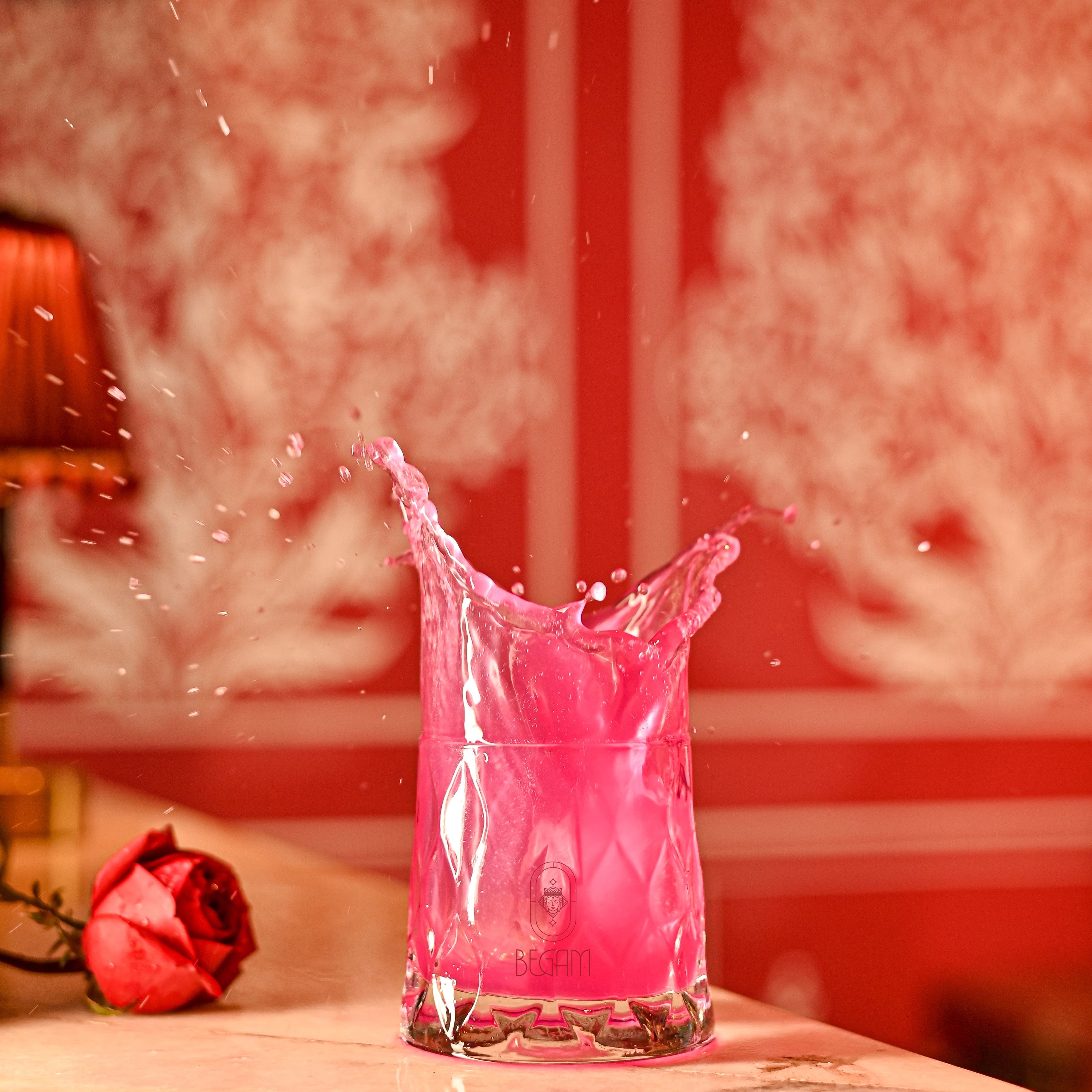 Begam, Defence Colony, New Delhi | Zomato