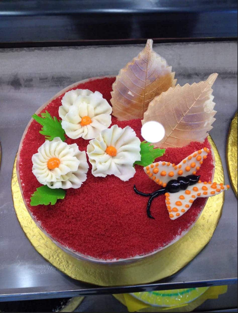 Swiss Castle, Vanasthalipuram, Hyderabad | Zomato