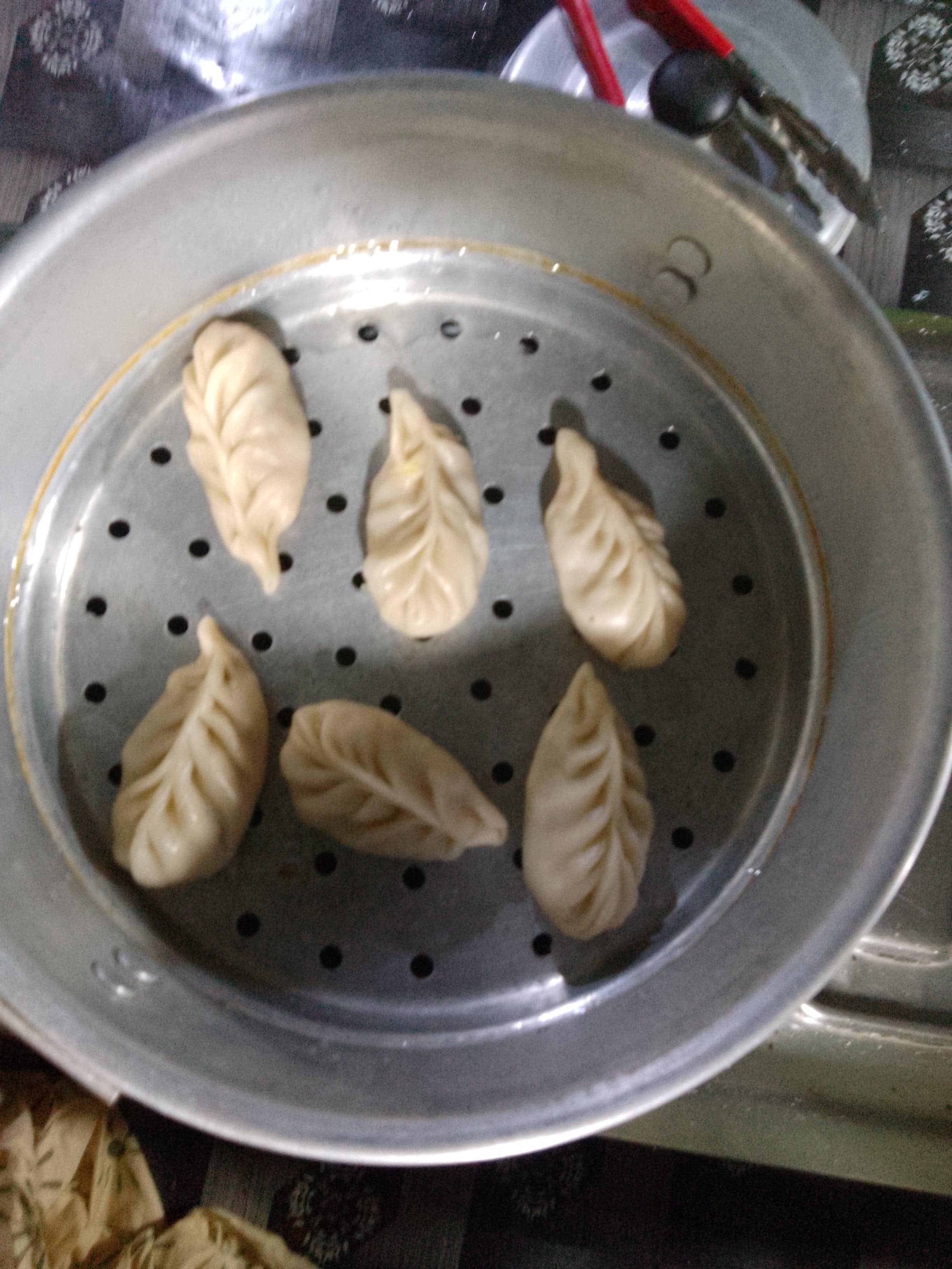 Momo Point And Spring Roll, Vijay Nagar, Indore | Zomato