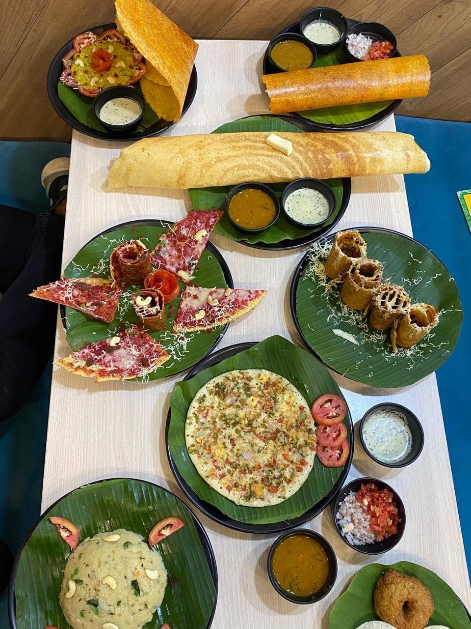 The Dosa King, Vijay Nagar, Indore | Zomato