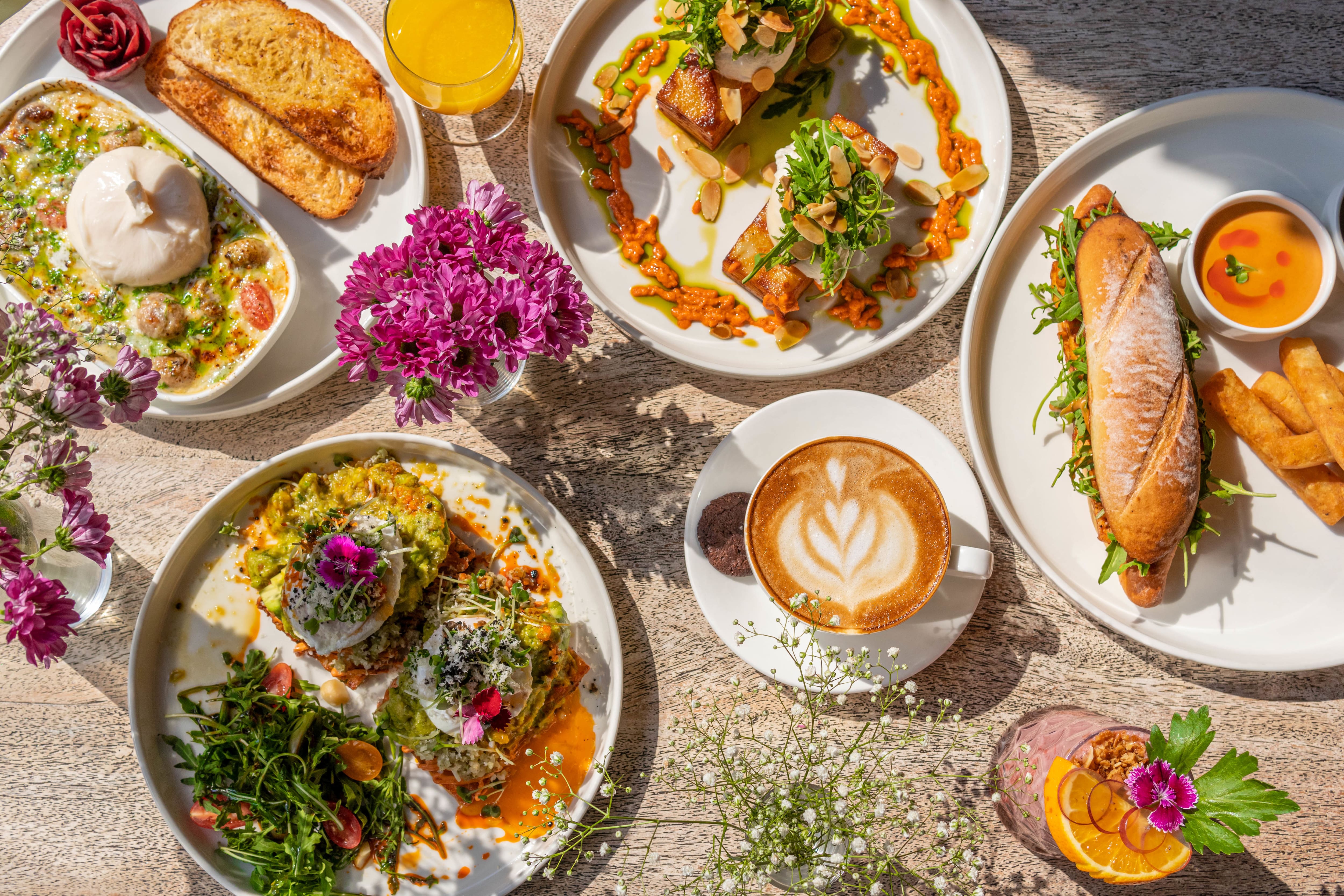 Cafe Tesu, Adchini, New Delhi | Zomato