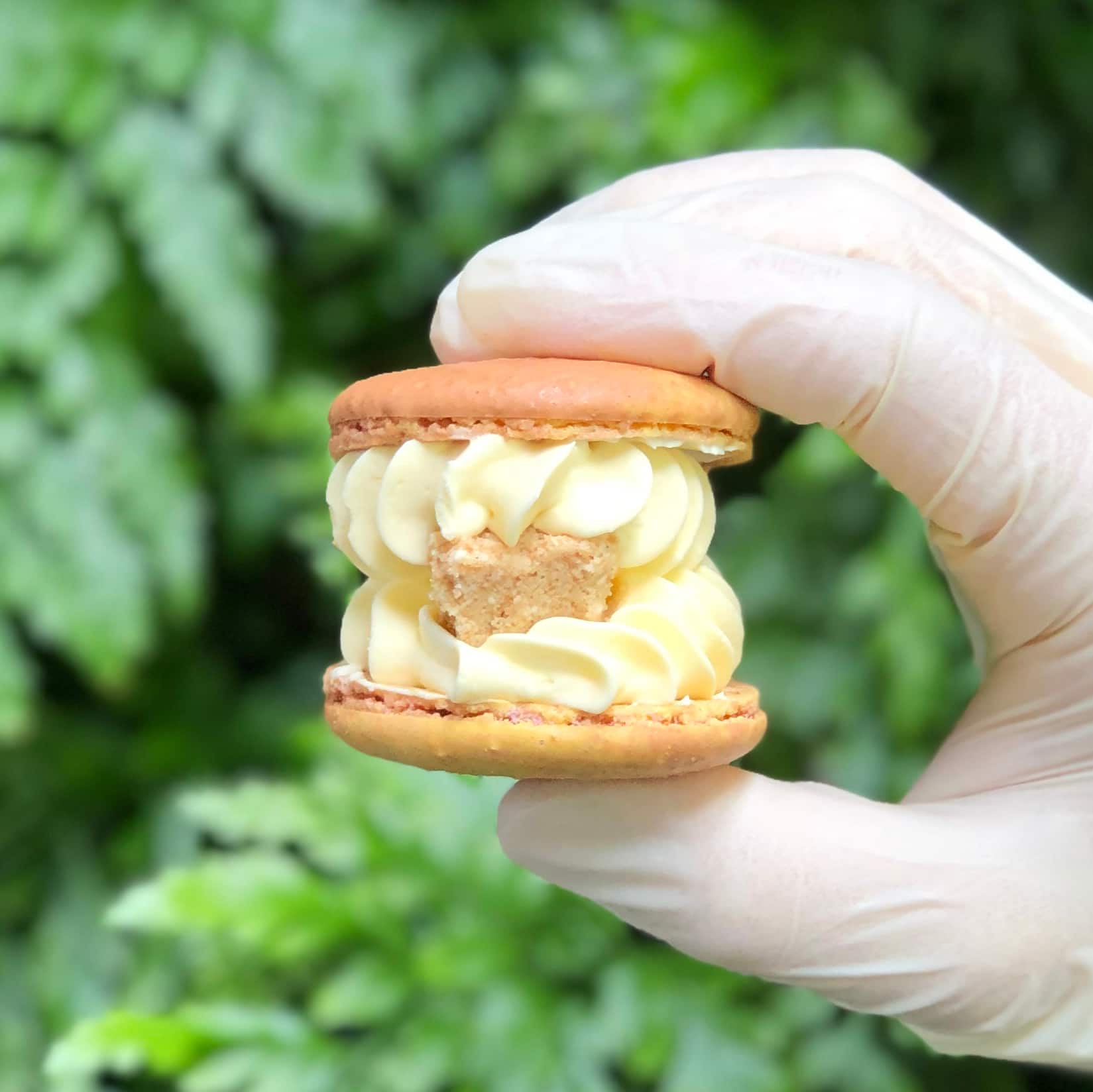 Daldang, Mayoral Drive, Auckland | Zomato