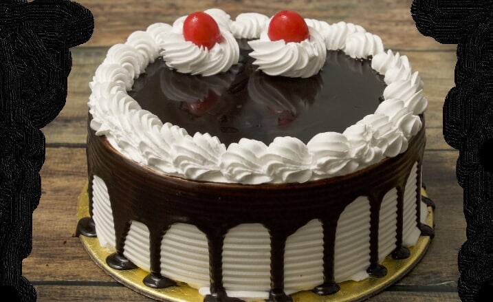 Lord Bakery, Mowa, Raipur | Zomato