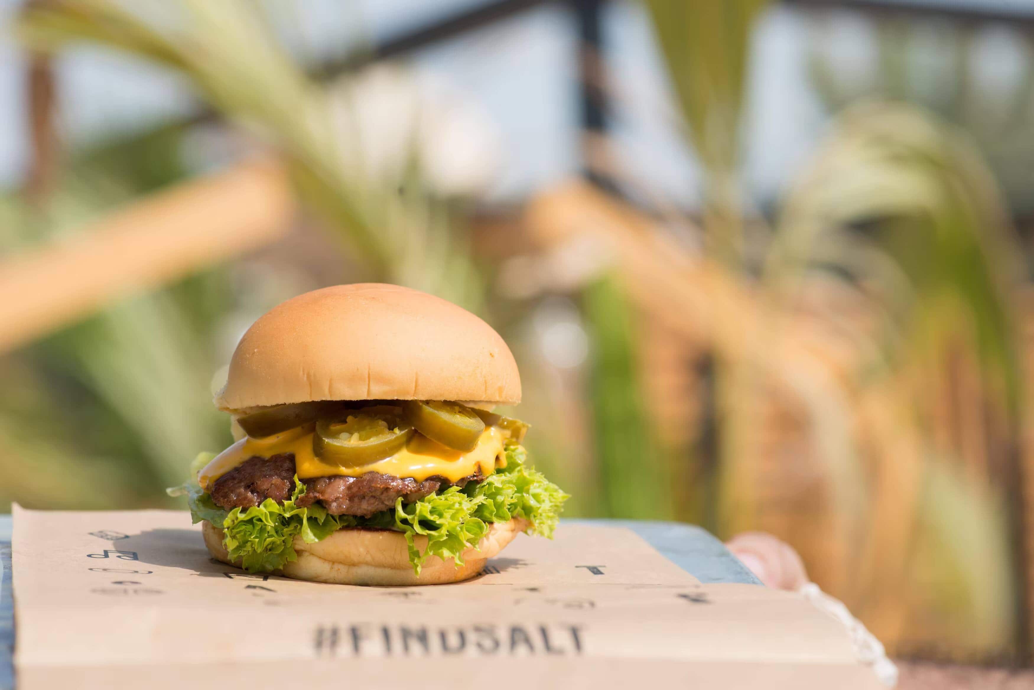 SALT, University City, Sharjah | Zomato