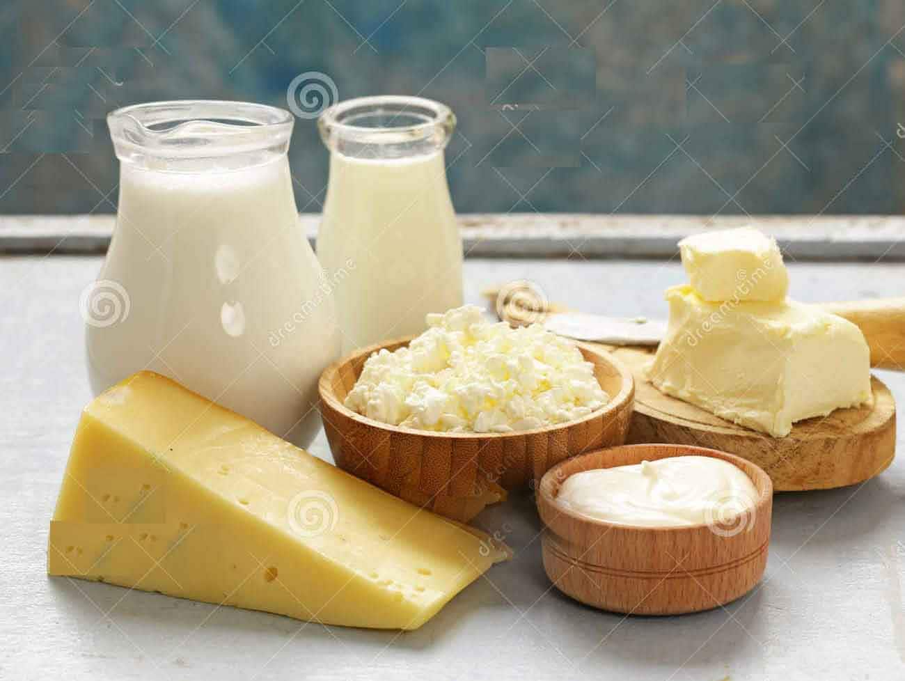 Satguru Dairy And Sweets, Industrial Area, Ludhiana | Zomato