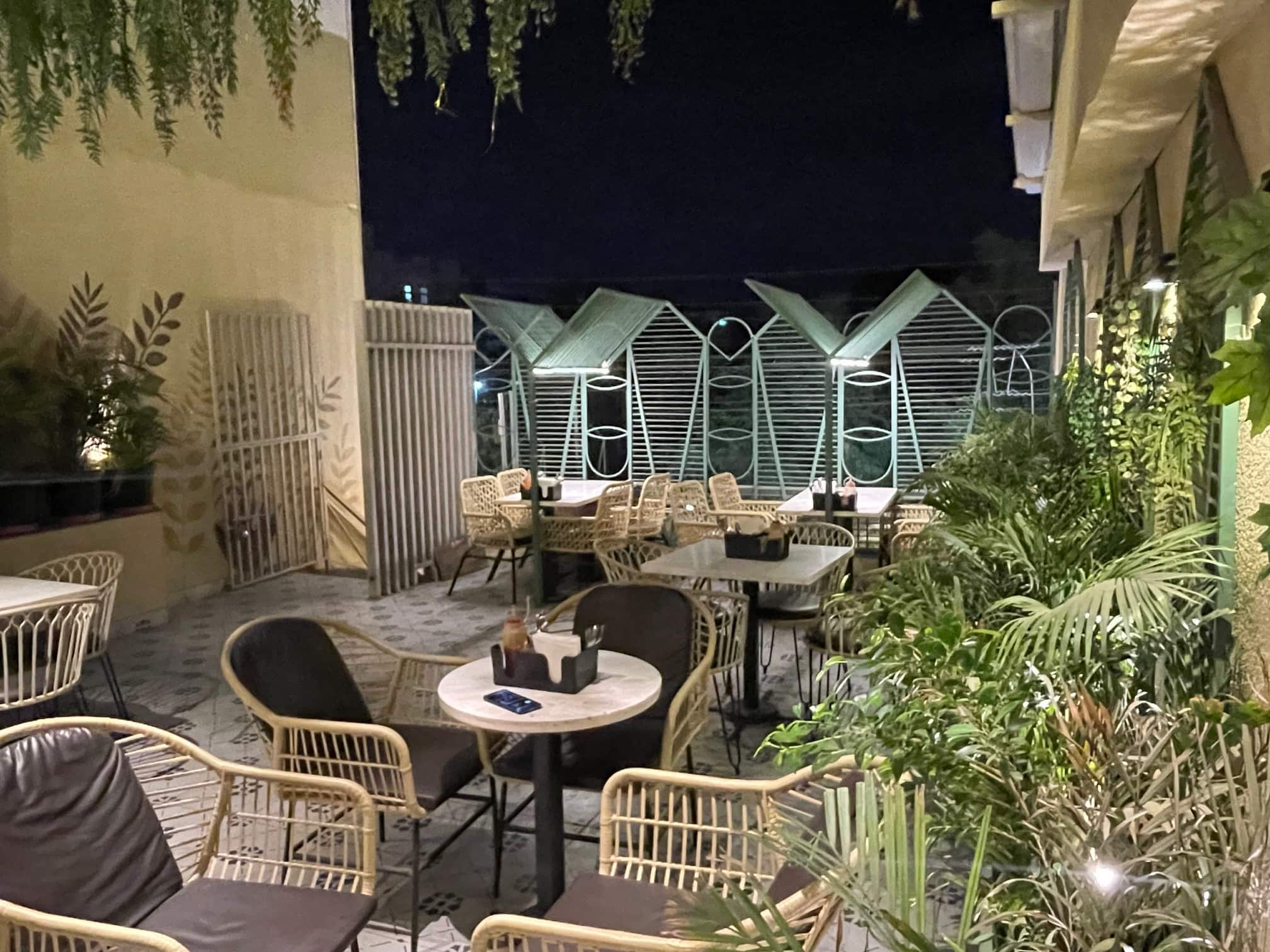 Jaipur Jungle, Malviya Nagar, Jaipur | Zomato