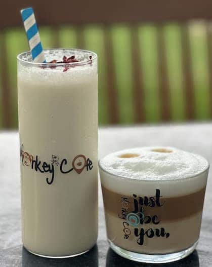 Monkey Cafe, Thaltej, Ahmedabad | Zomato