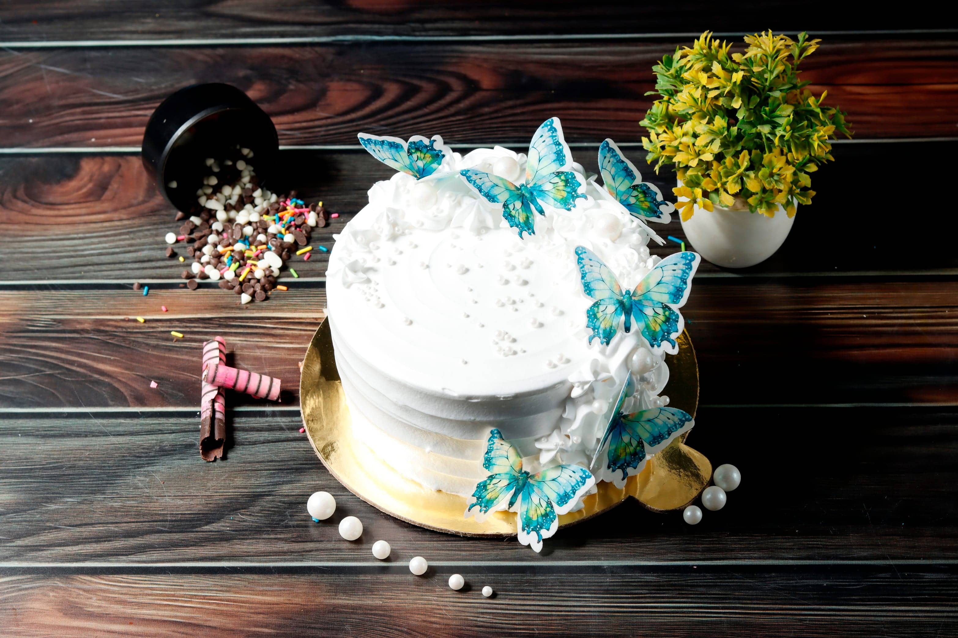 The Real Bakery, Sector 31, Noida | Zomato