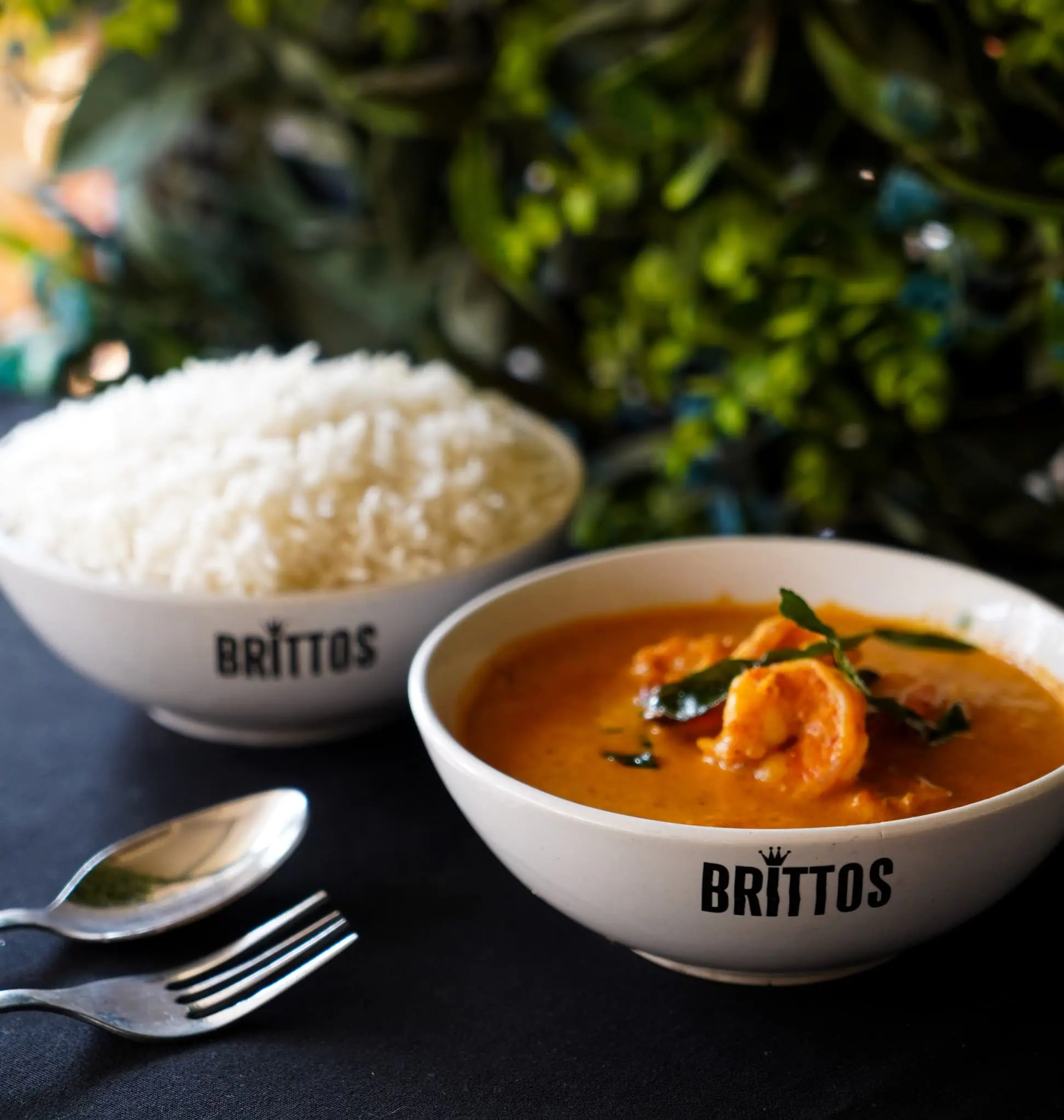 Menu of Britto's Restaurant & Bar, Baga, Goa