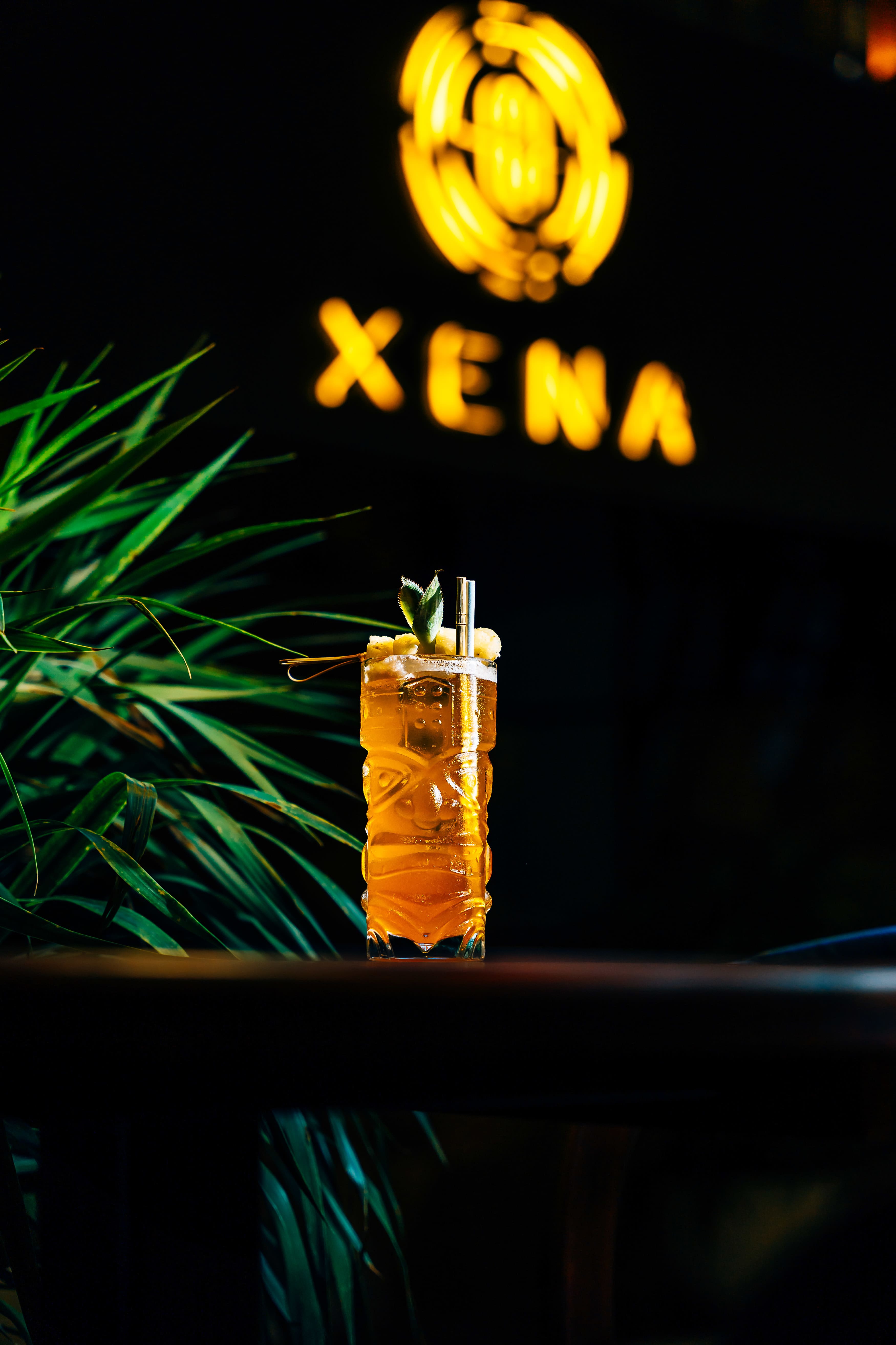 Xena Brewery & Kitchen, Jubilee Hills, Hyderabad | Zomato