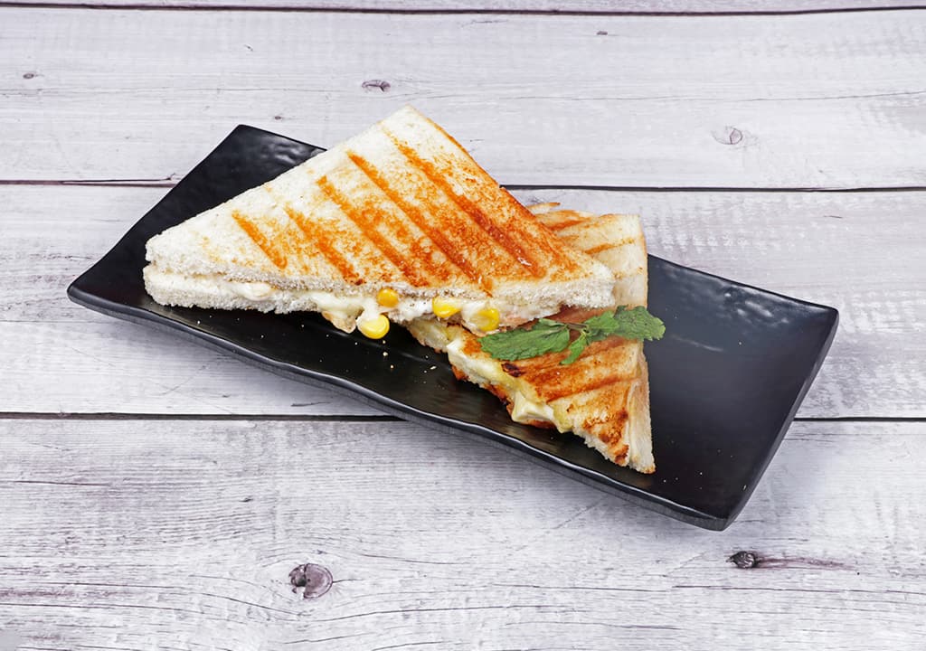 The Taste Temple, Kota Industrial Area, Kota | Zomato