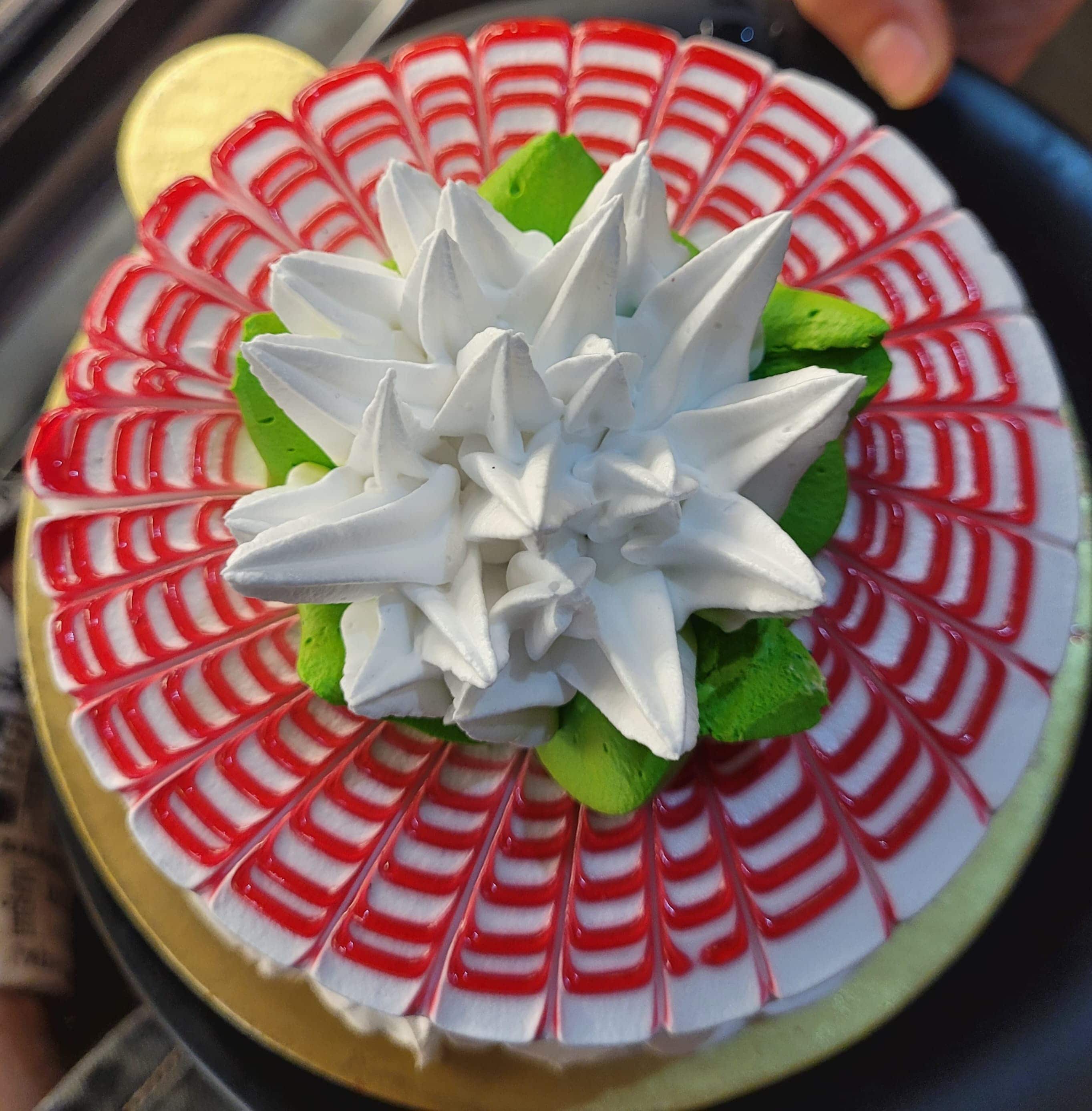 Mountain Munchies Bakery And Store, Old Manali, Manali | Zomato