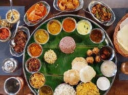 Anna IDC, Shivaji Nagar, Pune | Zomato