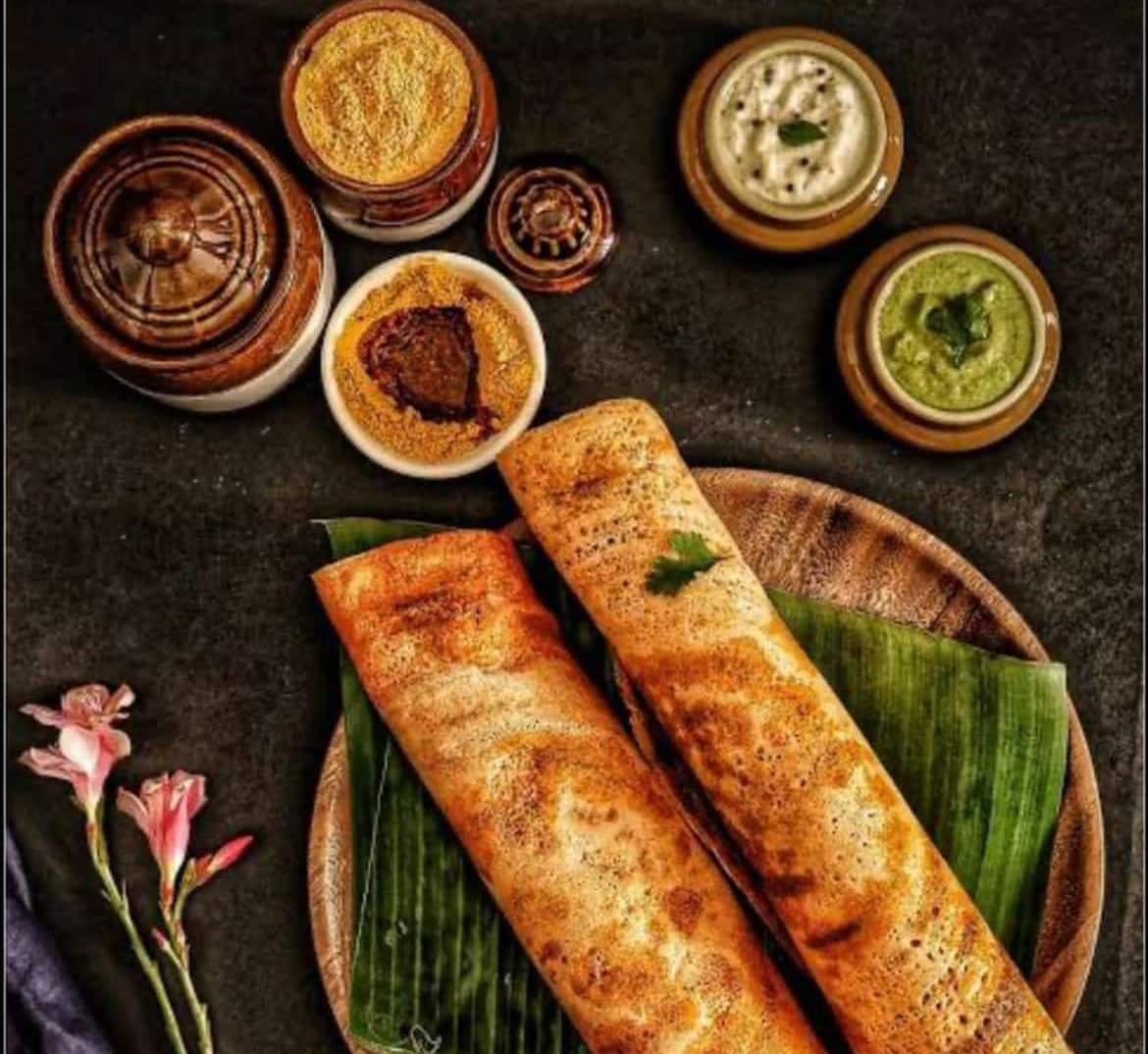 Daily Dosa, Hinjawadi, Pune | Zomato