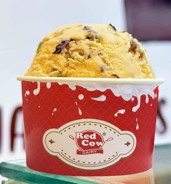 Red Cow Dairy World, Baga, Goa | Zomato