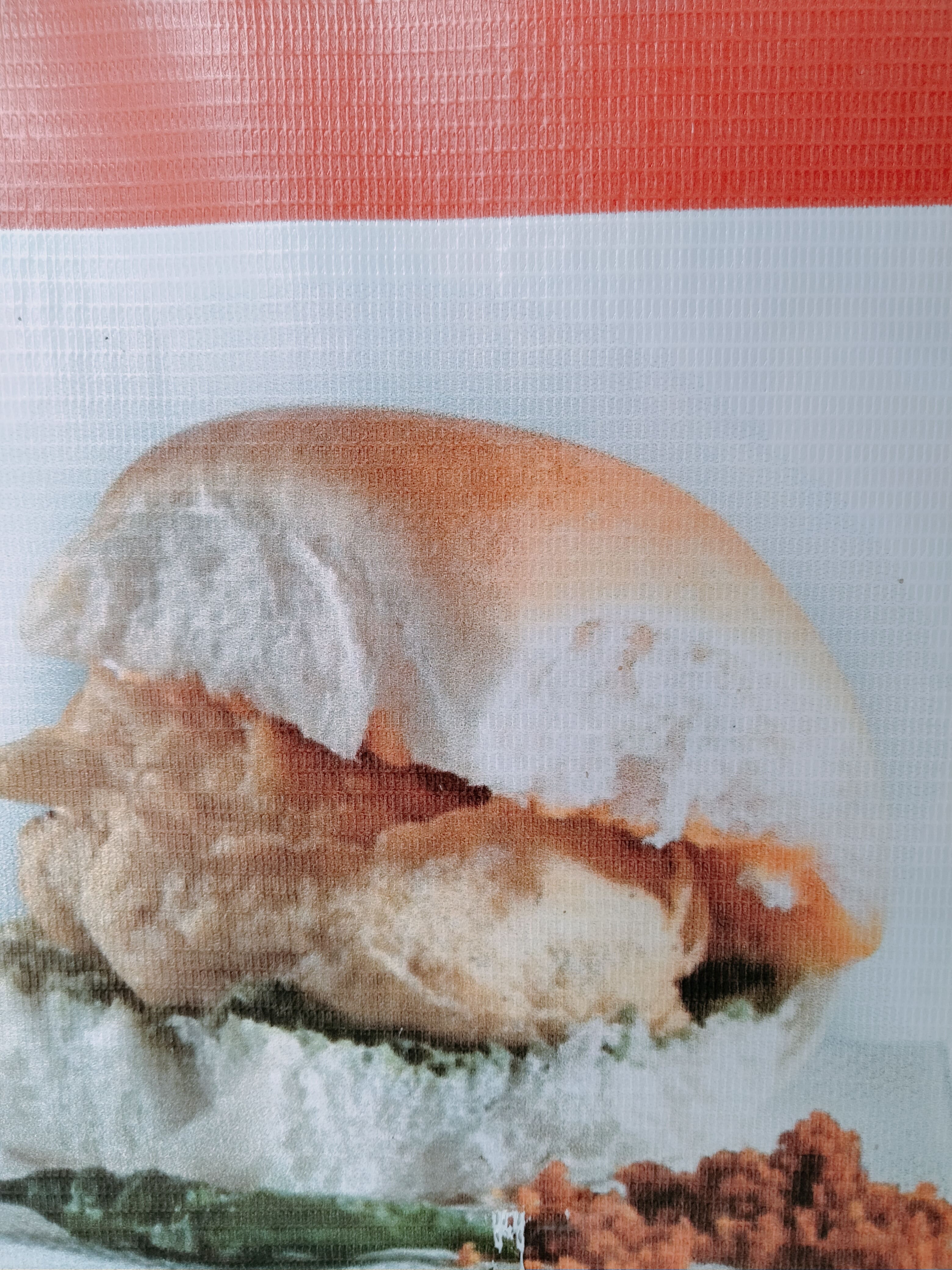 Menu of Shree Wada Pav Center, Dhankawadi, Pune