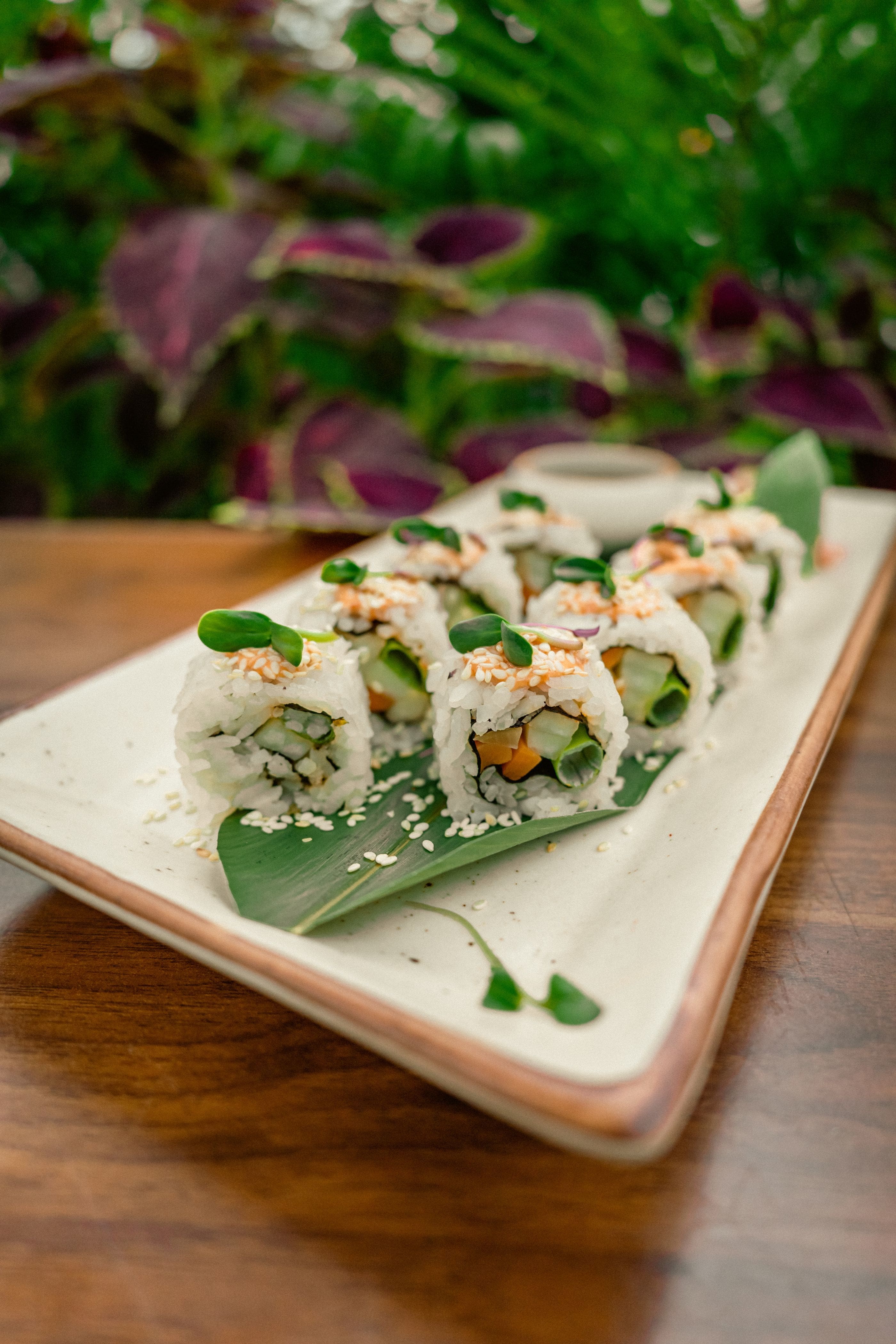 Wasabae, Ballupur, Dehradun | Zomato