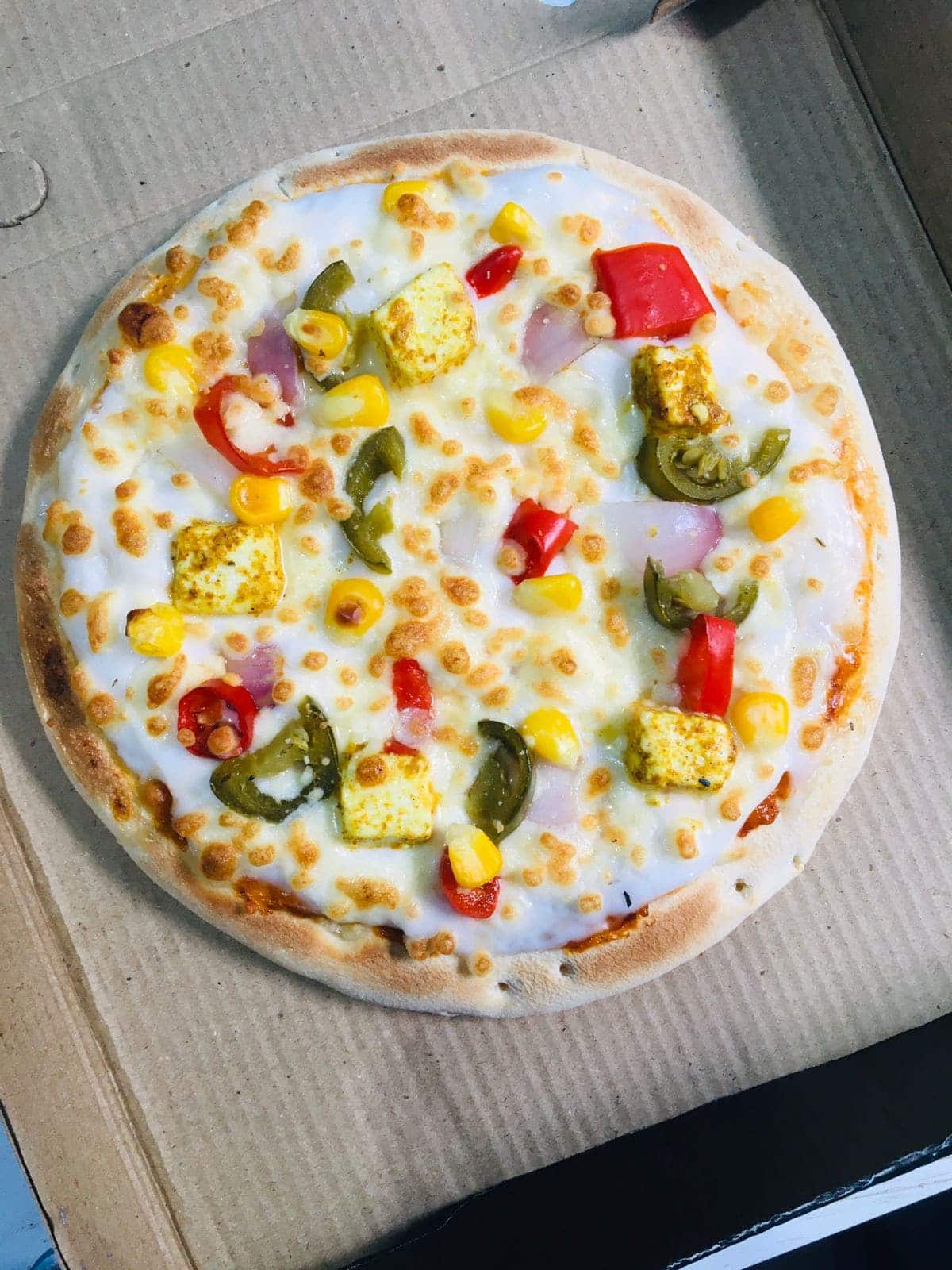 Menu of Hot & Fresh Pizza Hot And Spicy, Durga Puri, New Delhi