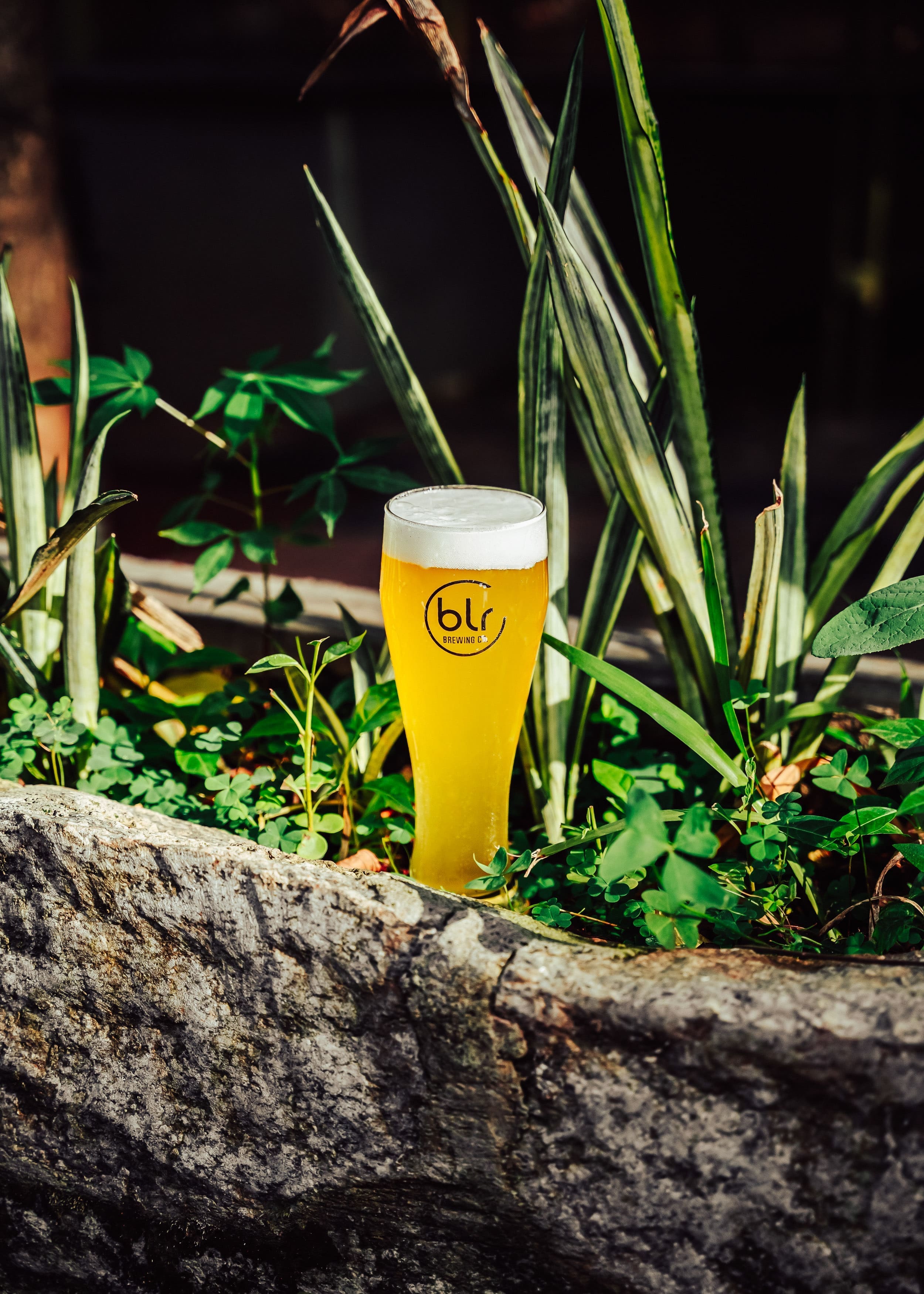 BLR Brewing Co, Marathahalli, Bangalore | Zomato