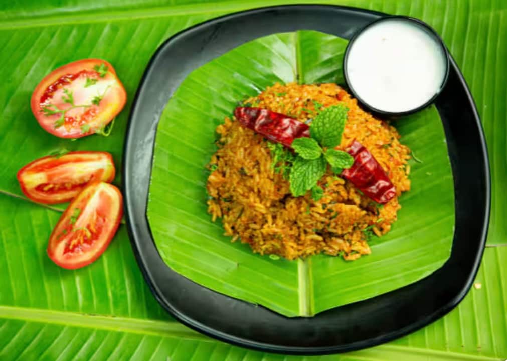 The Dosa Club, Palam Vihar, Gurgaon | Zomato