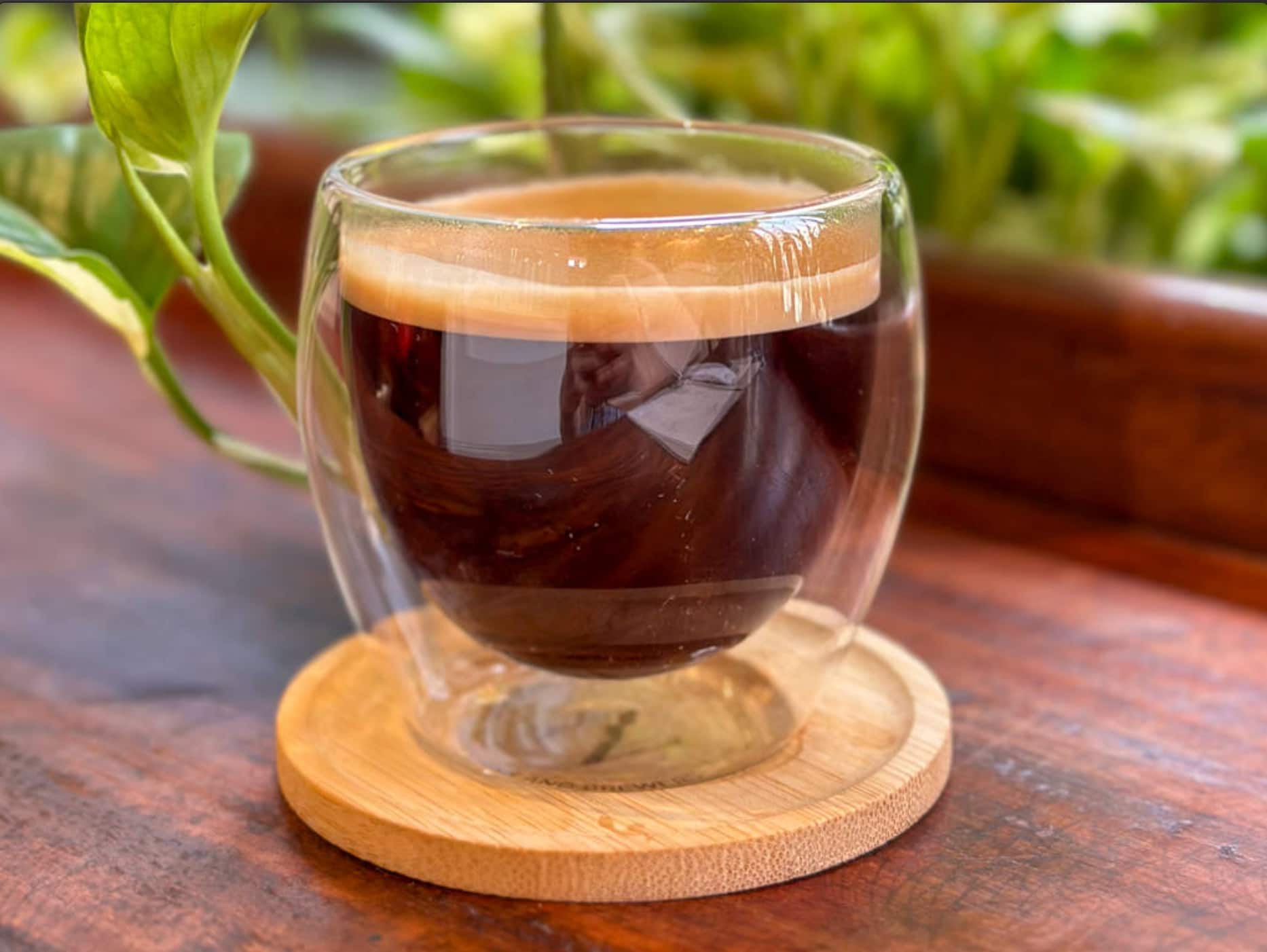 Nandan Coffee, Fort, Mumbai | Zomato