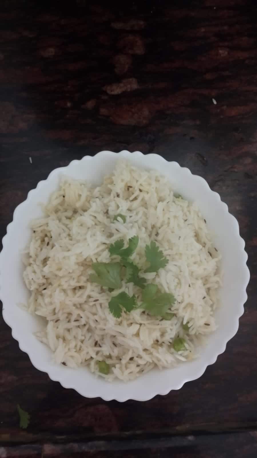 Munch Joy Express, Malipura, Ujjain | Zomato