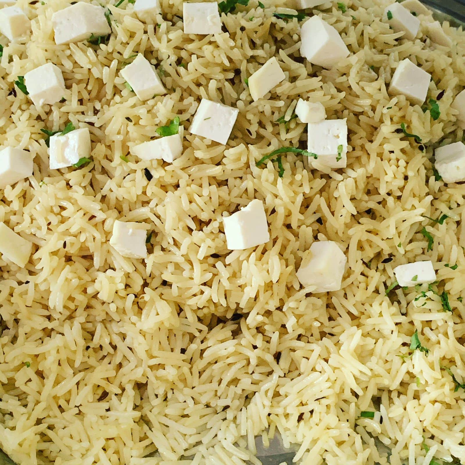 Shree Jee Chole Bhature, Palam Vihar, Gurgaon | Zomato