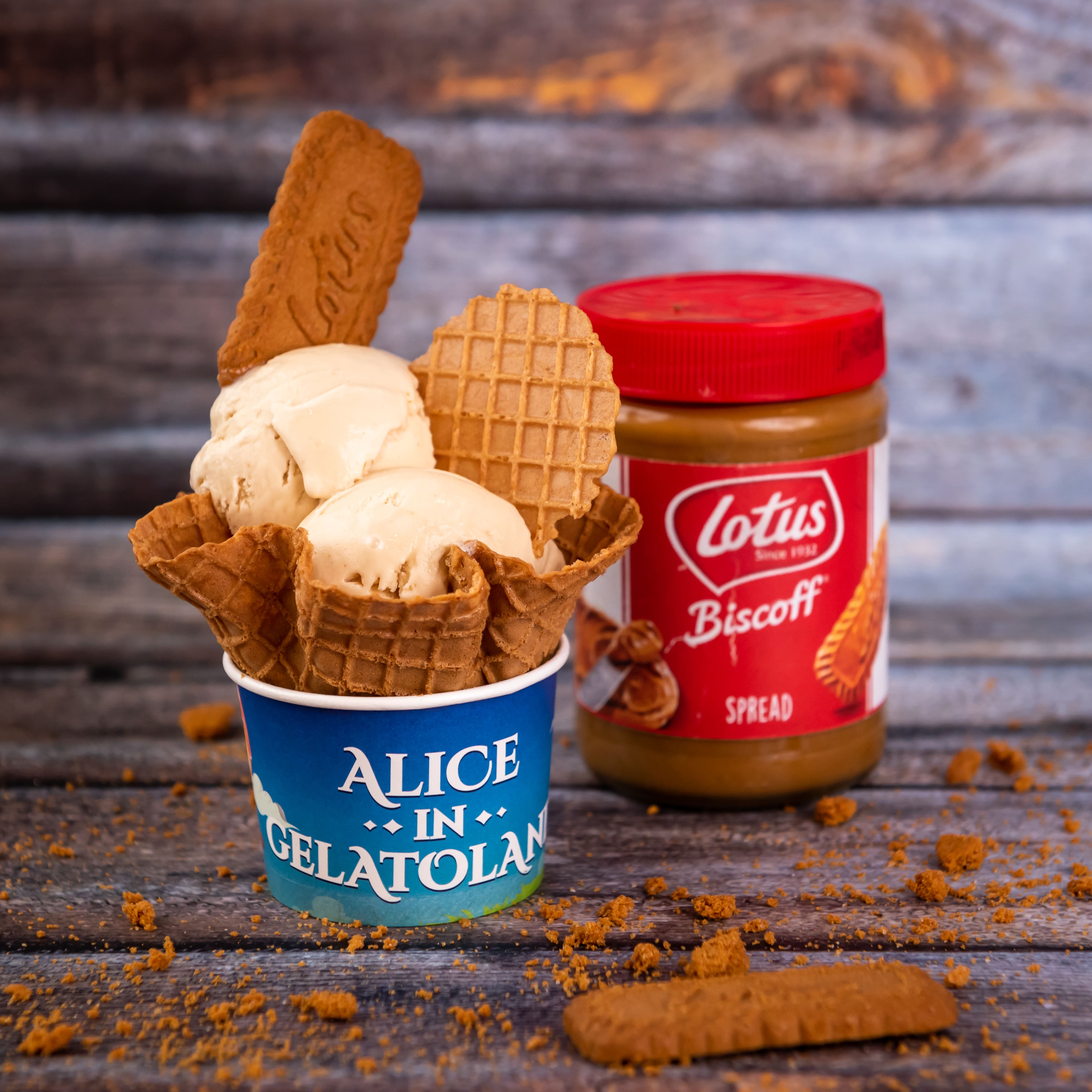 Alice In Gelatoland Shahi Durbar, City Center, Gwalior | Zomato