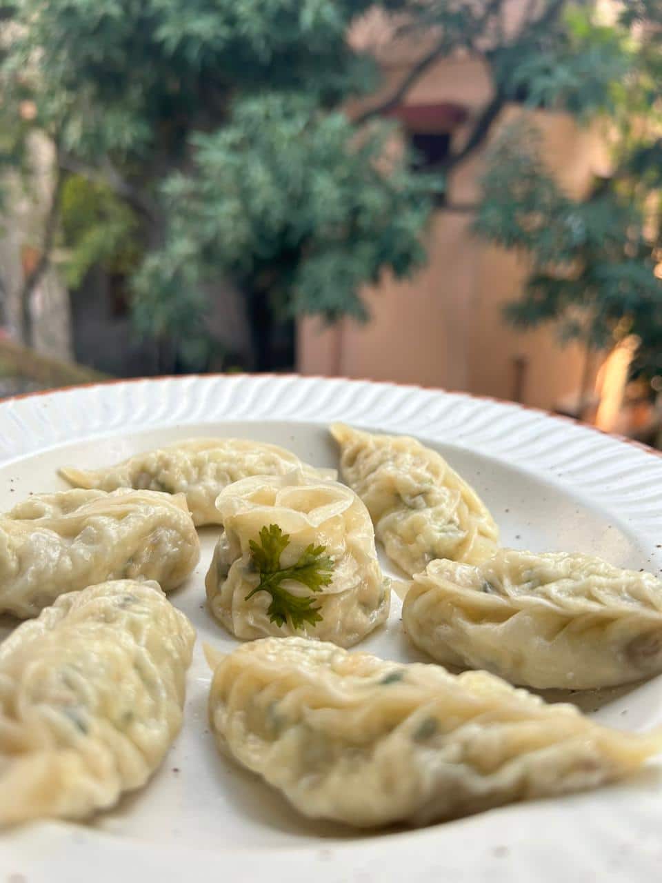 Rinchen's Momo, Entally, Kolkata | Zomato