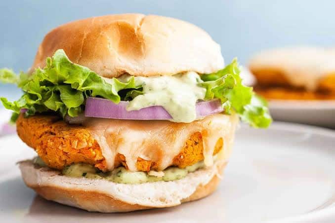 T 20 Premium Quality Food, Press Complex, Indore | Zomato
