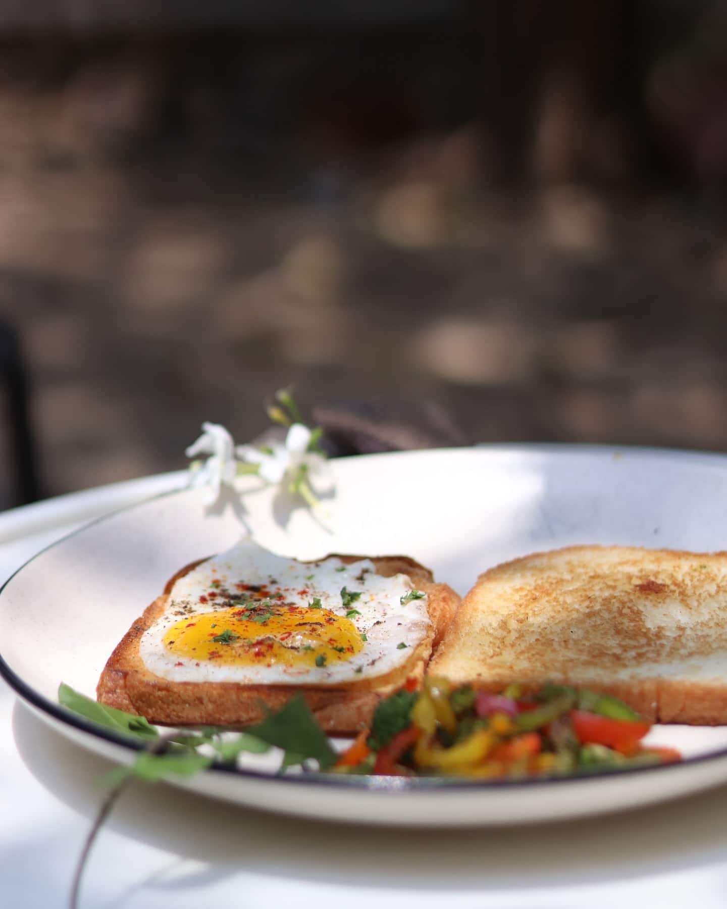 Brewzo Cafe, Arera Colony, Bhopal | Zomato