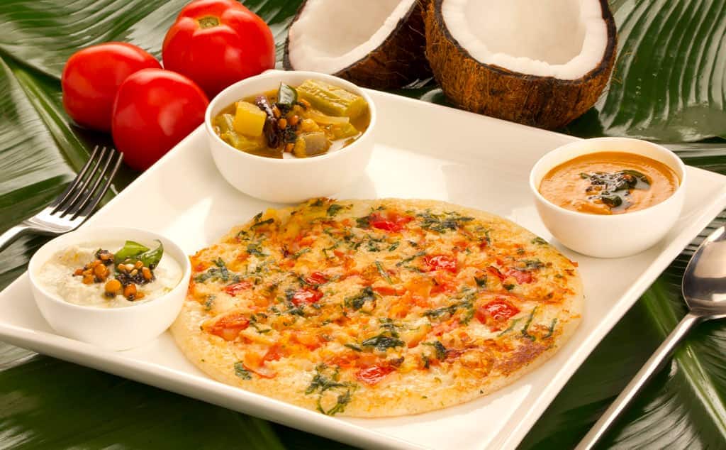 Menu of Dosa Plaza, Alipur, New Delhi