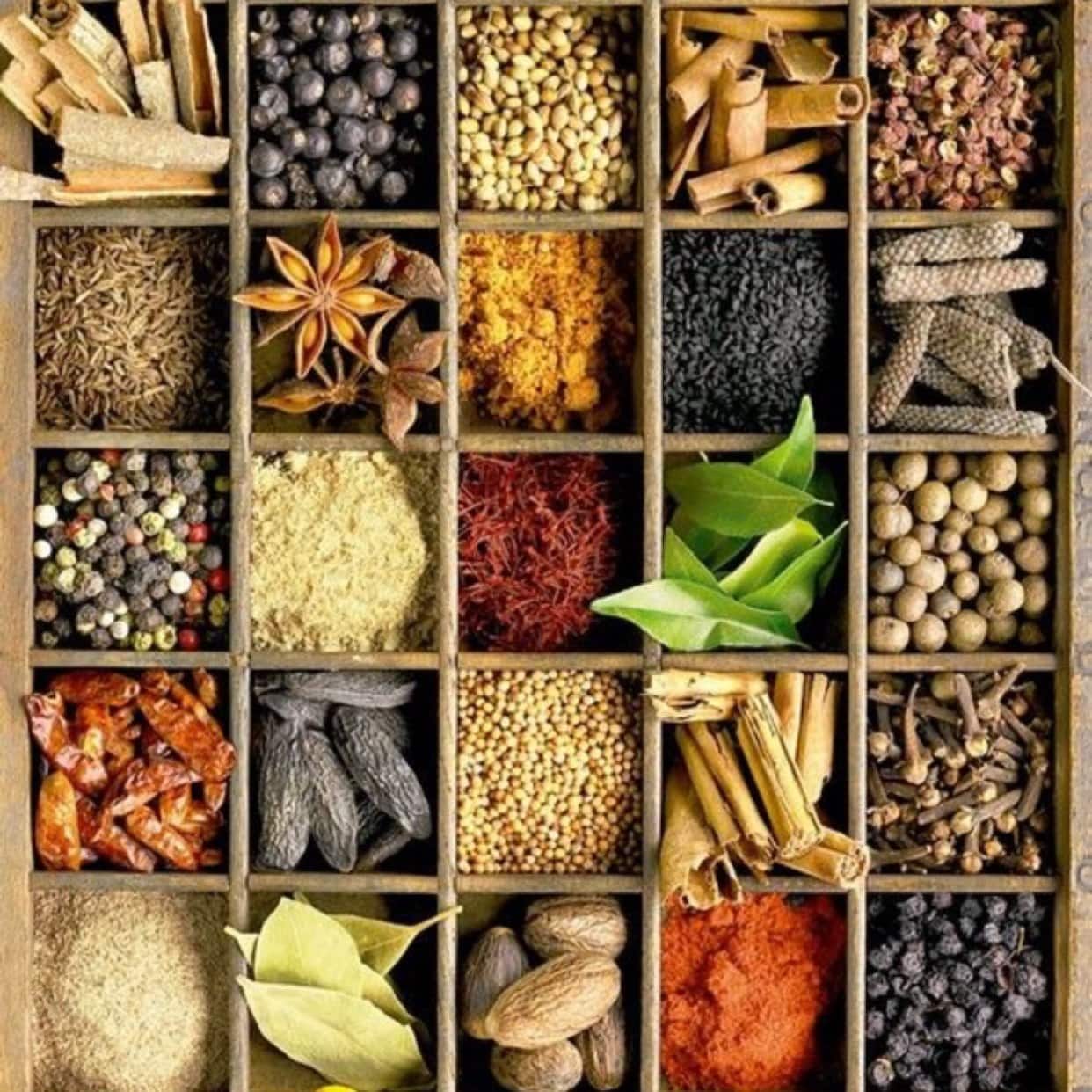 Menu of Dasaprakash, MI Road, Jaipur