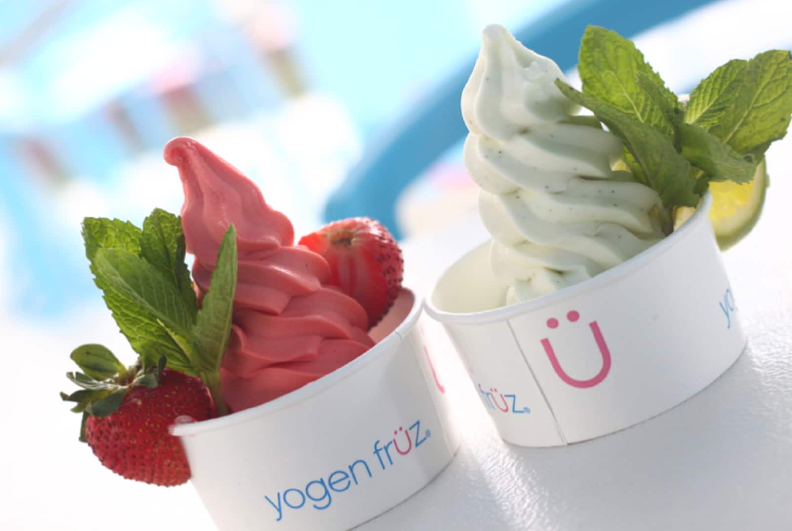 Yogen Früz, Financial District, Toronto | Zomato