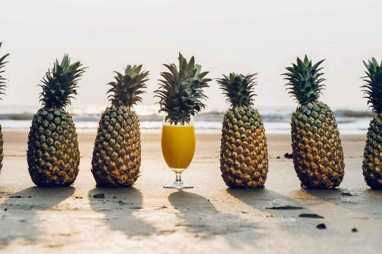 Blue Turtle Beach Bar & Restaurant, Morjim, Goa | Zomato