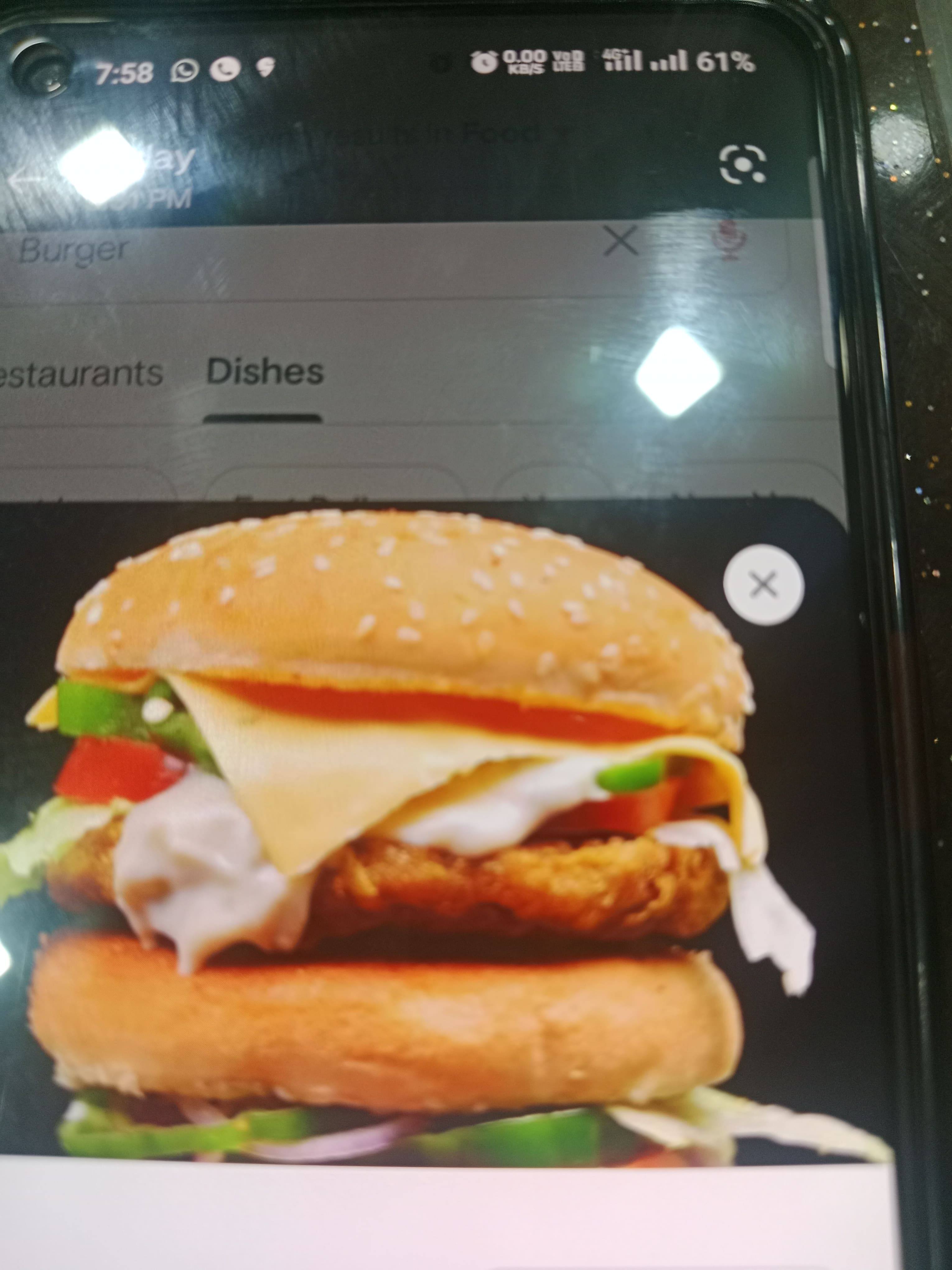 Menu of The Euphoria Cafe House, Pimple Nilakh, Pune
