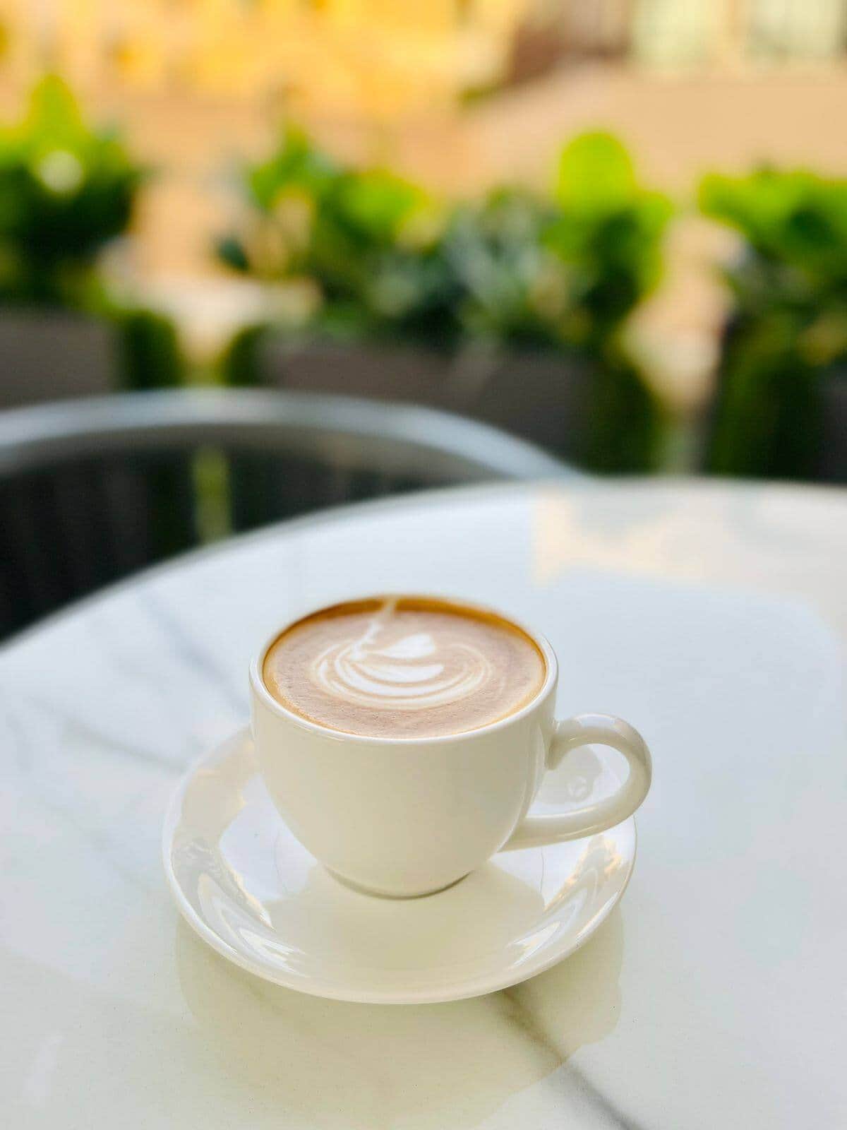 Menu of Nolta, Al Maqtaa, Abu Dhabi