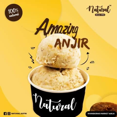Natural Ice Cream, Alkapuri, Vadodara | Zomato