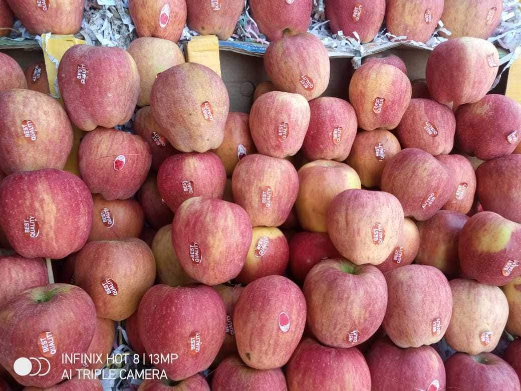 Champion Fruit And Juice Shop, Moga Locality order online - Zomato