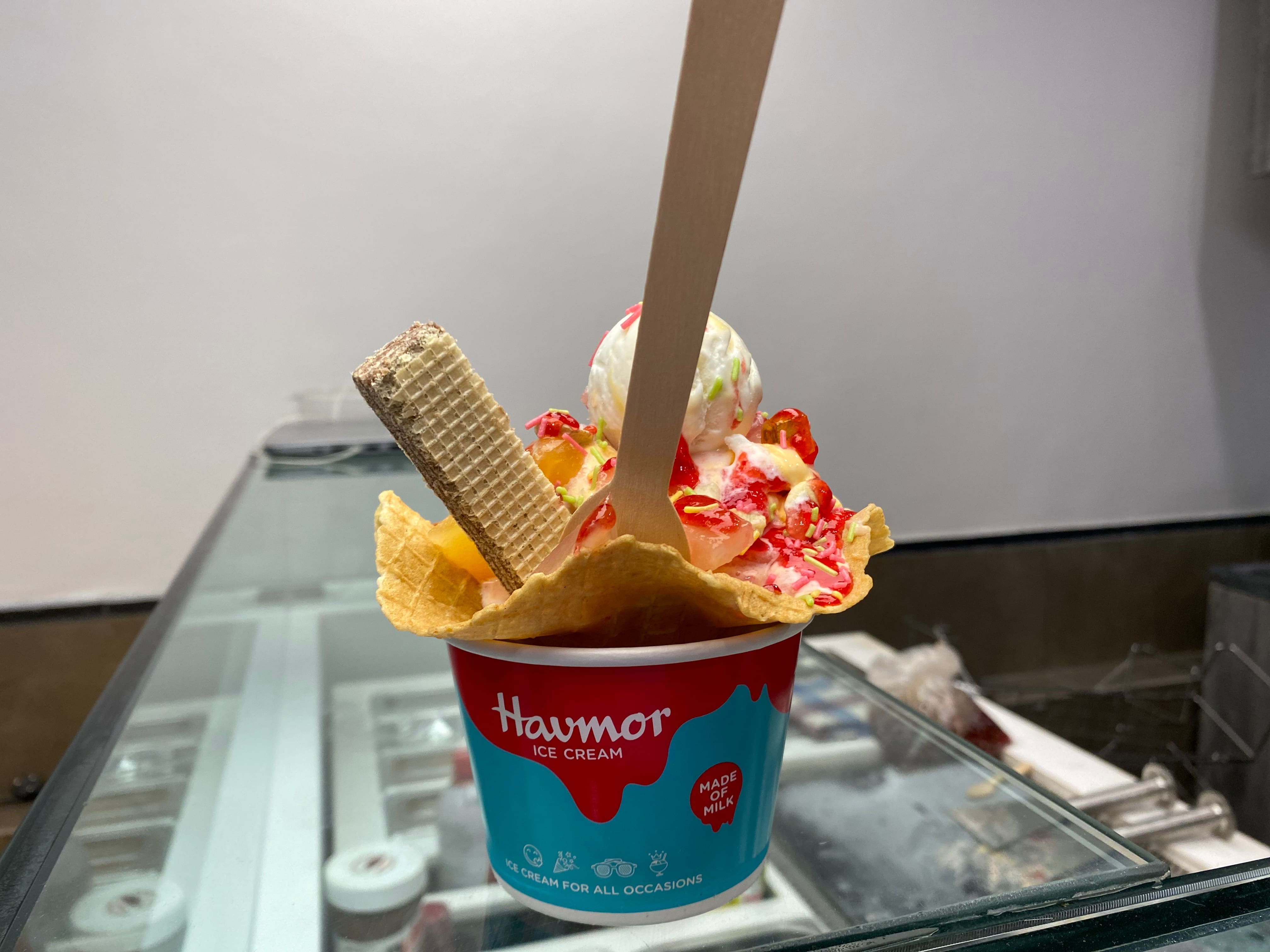 Havmor Ice Cream, East Patel Nagar, New Delhi | Zomato