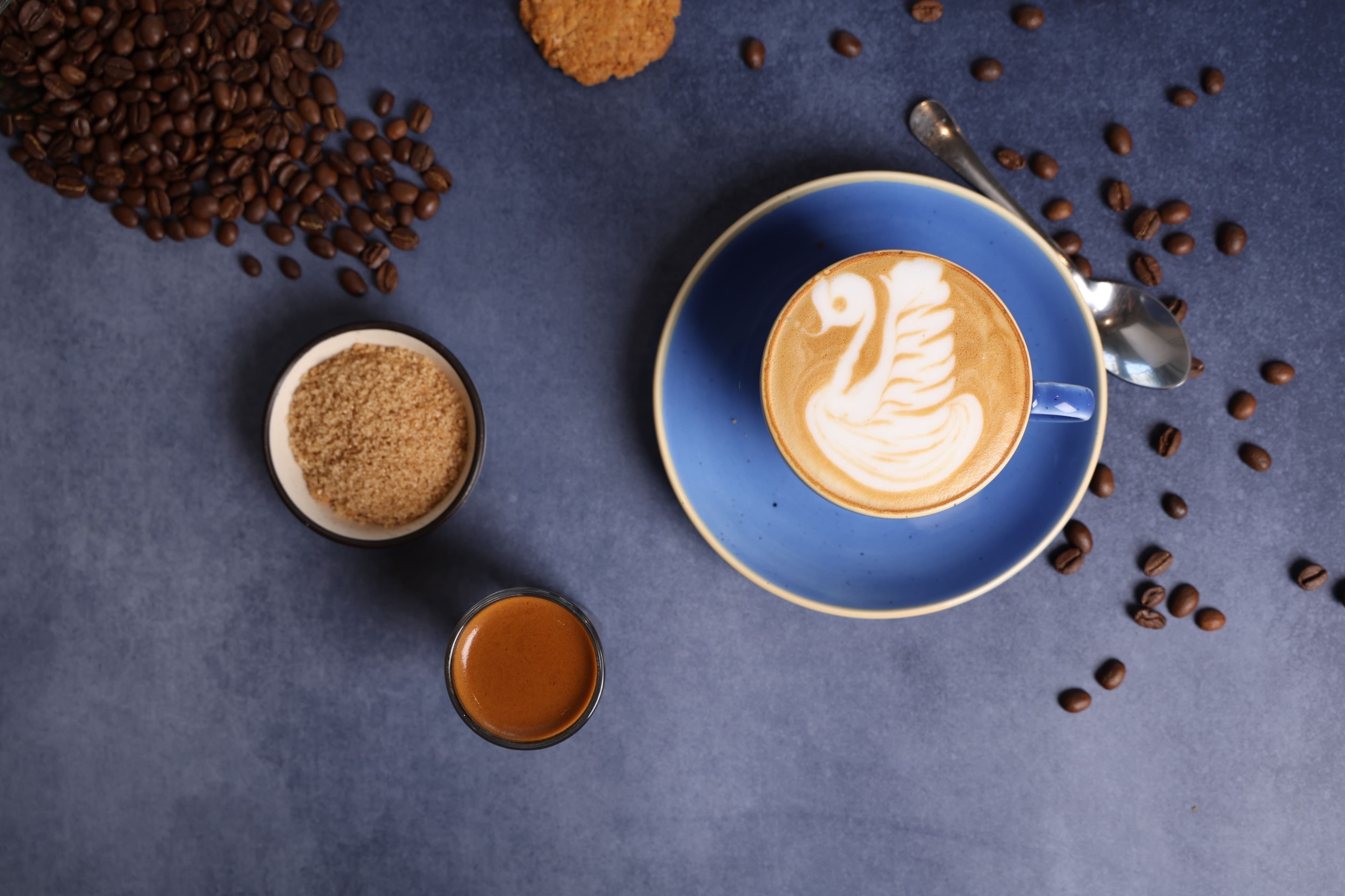 Love Over Coffee, Vijay Nagar, Indore | Zomato