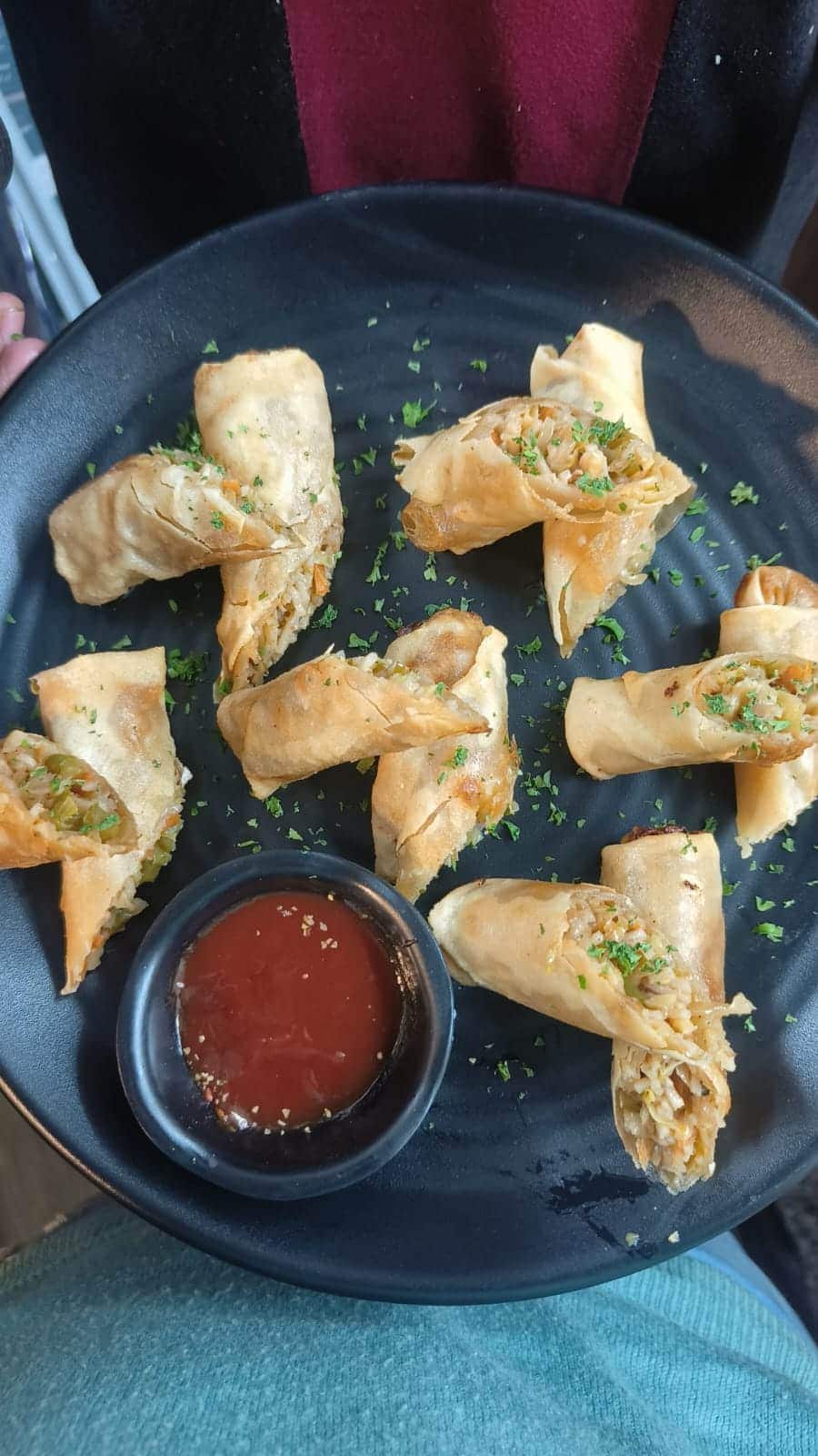 Alfredo Cafe, South Extension 2, New Delhi | Zomato