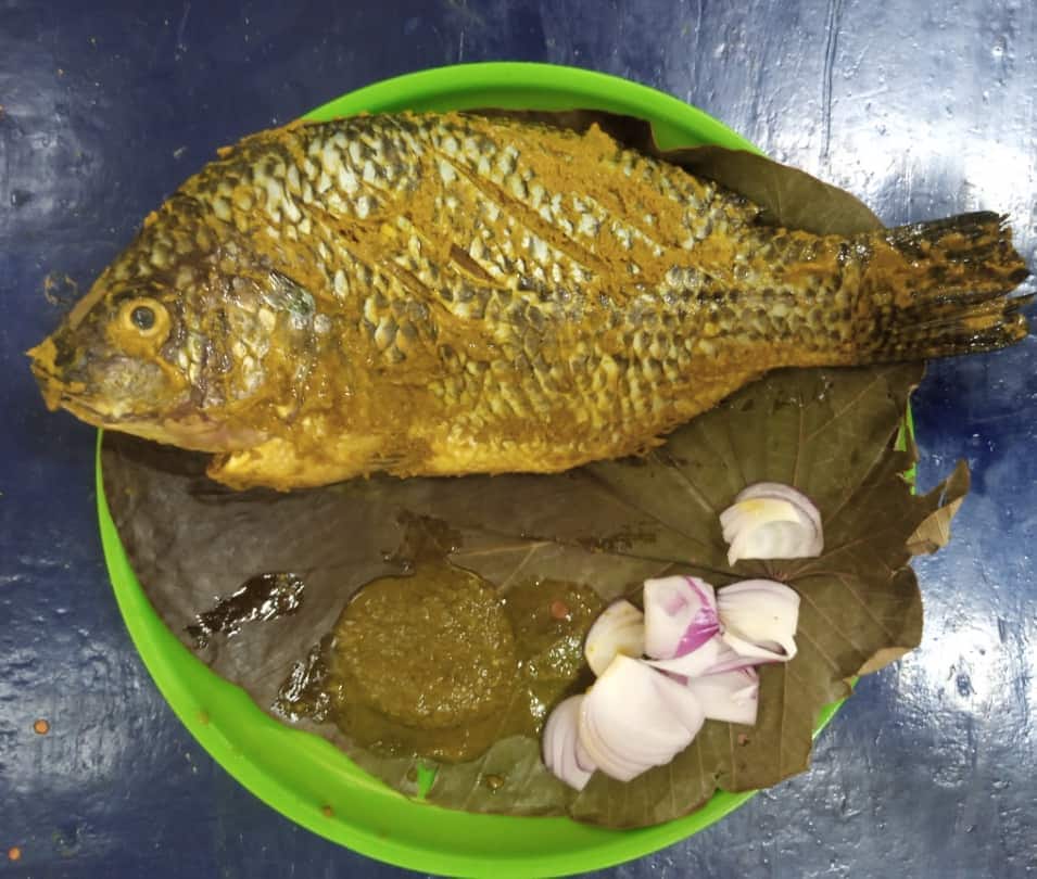 MSK Fish Kabab Centre, Rajiv Nagar, Mysore | Zomato