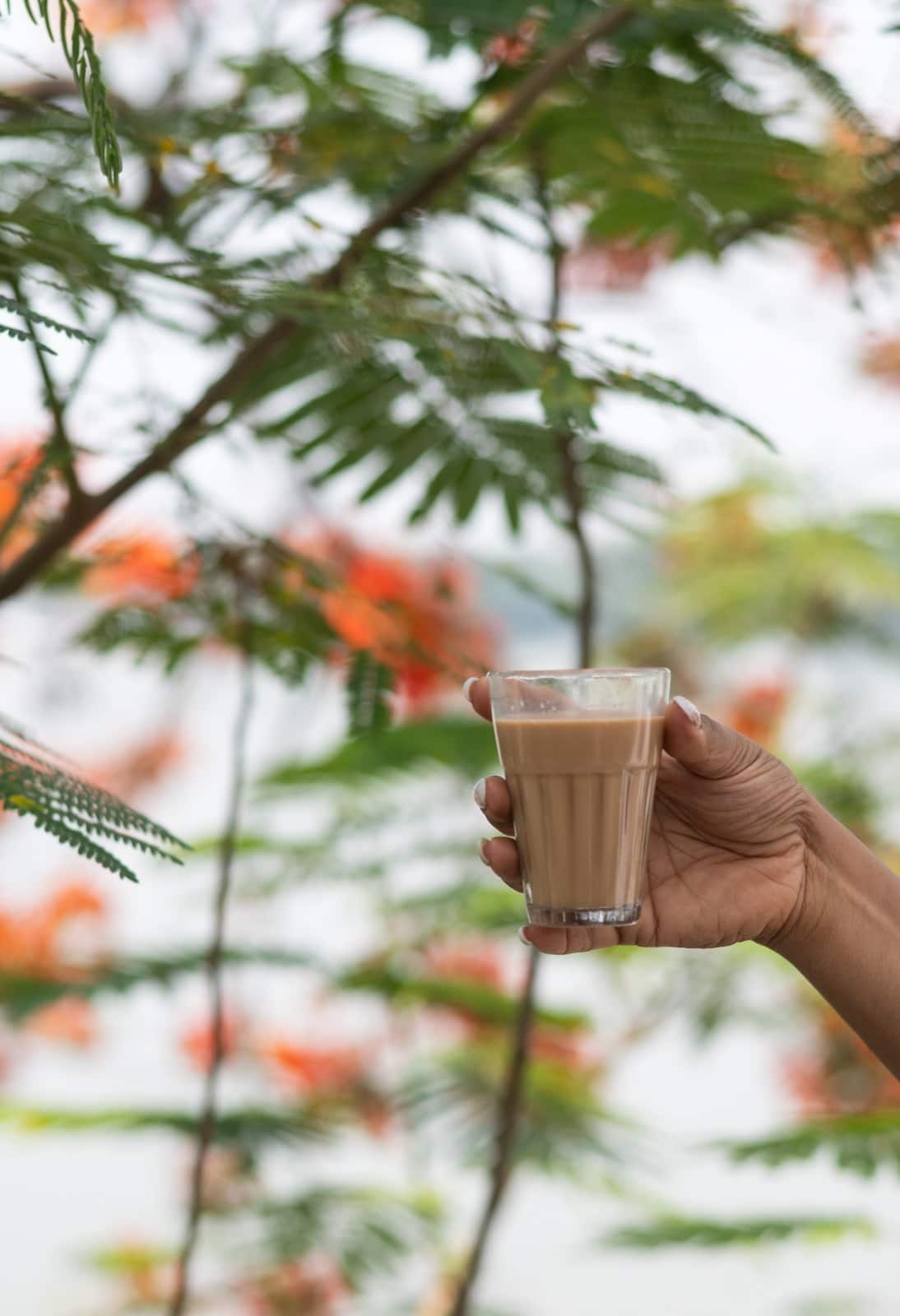 Bageecha, Dalhousie BBD Bagh, Kolkata | Zomato