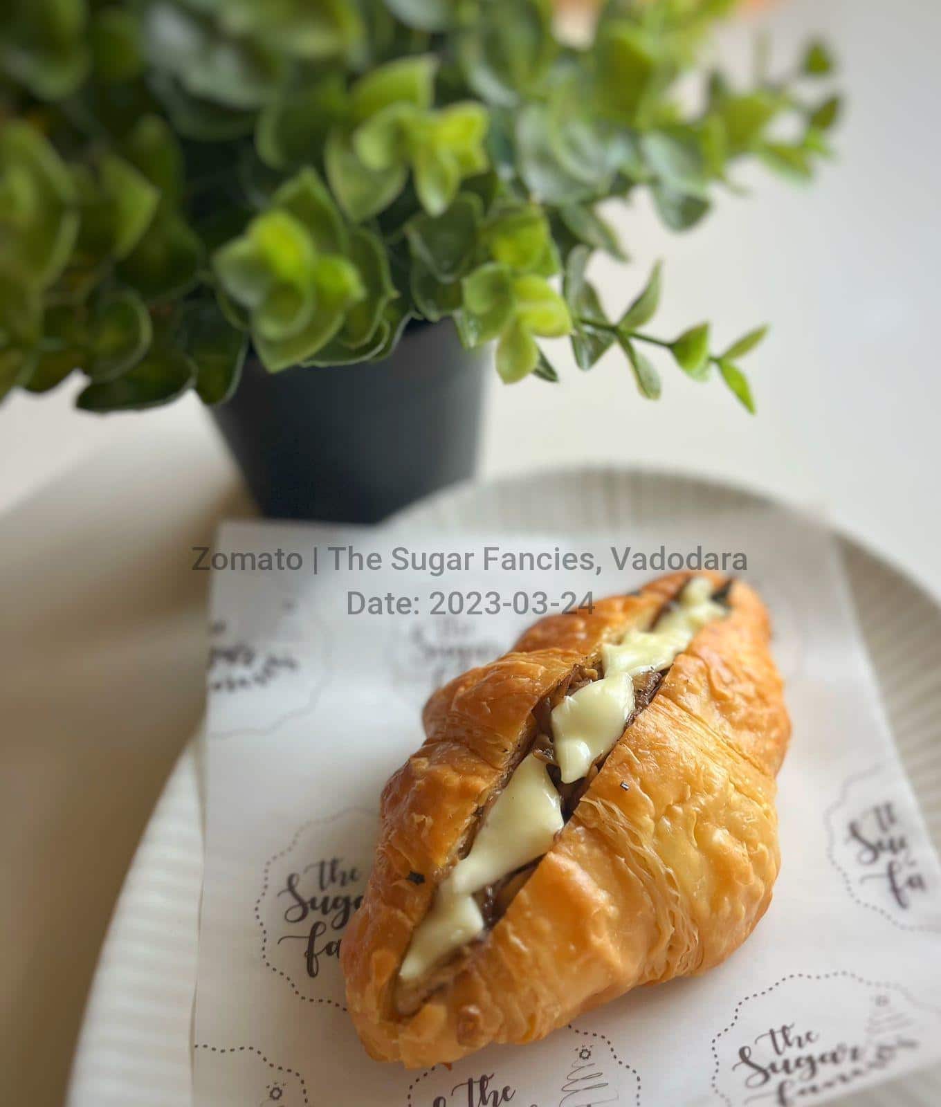 The Sugar Fancies, Gotri, Vadodara | Zomato