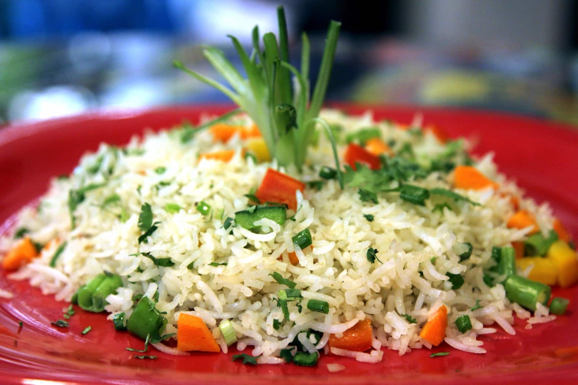 Kydz Adda, Bannerghatta Road, Bangalore | Zomato