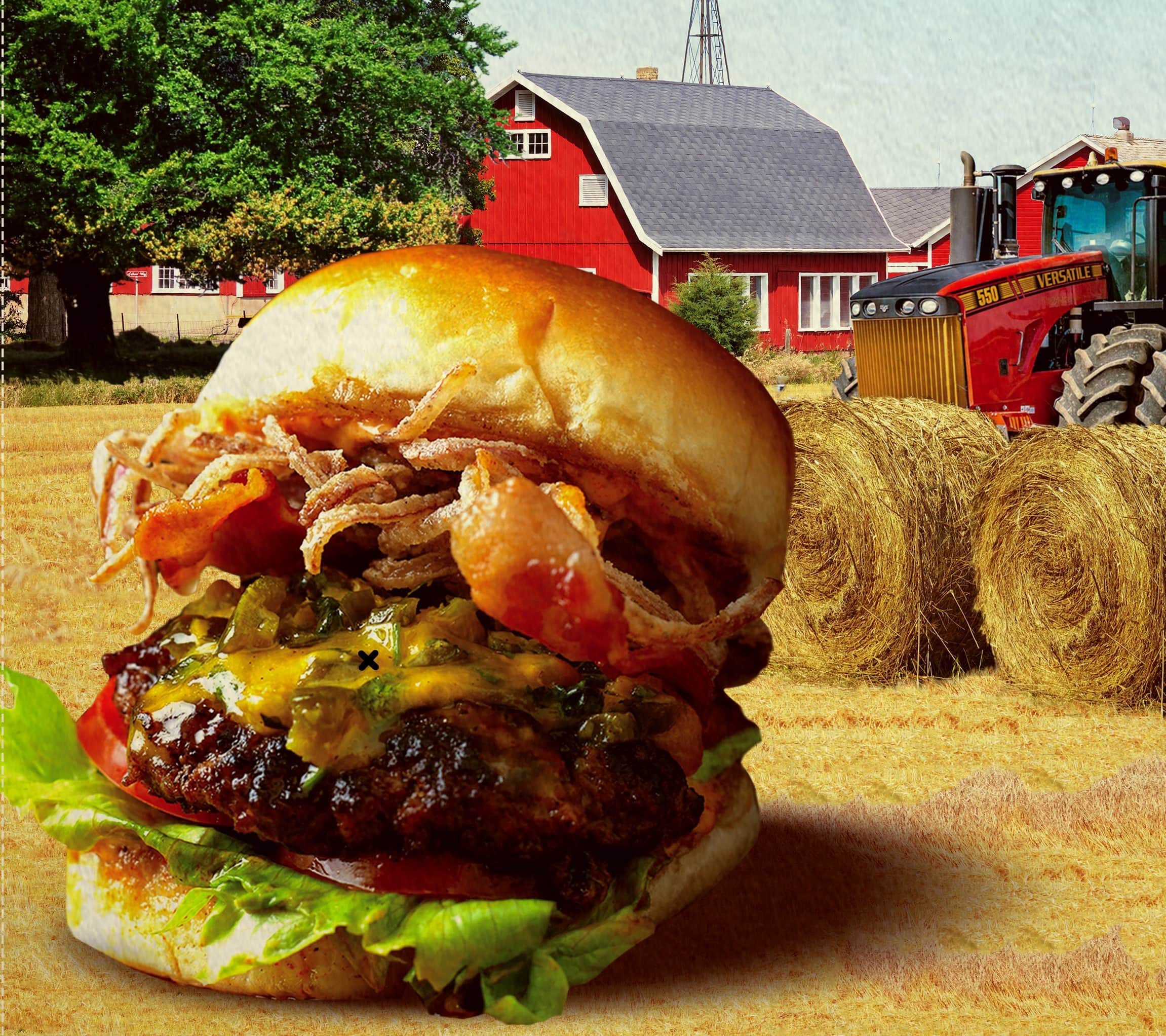 The Burger Junction, Panampilly Nagar, Kochi | Zomato
