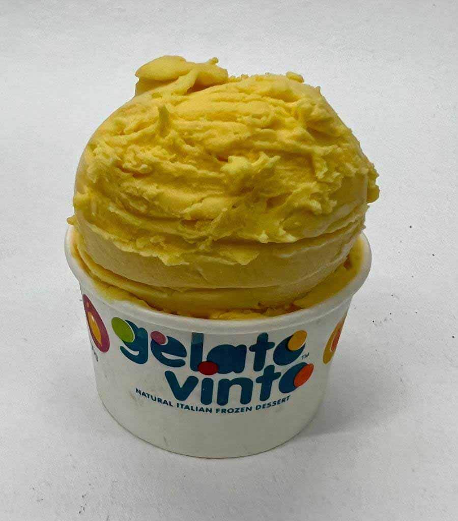 Gelato Vinto, Sector 71, Noida | Zomato